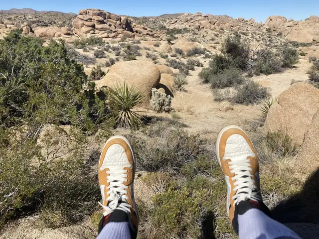 Goretex/Element 1s out in the wilderness | Scrolller