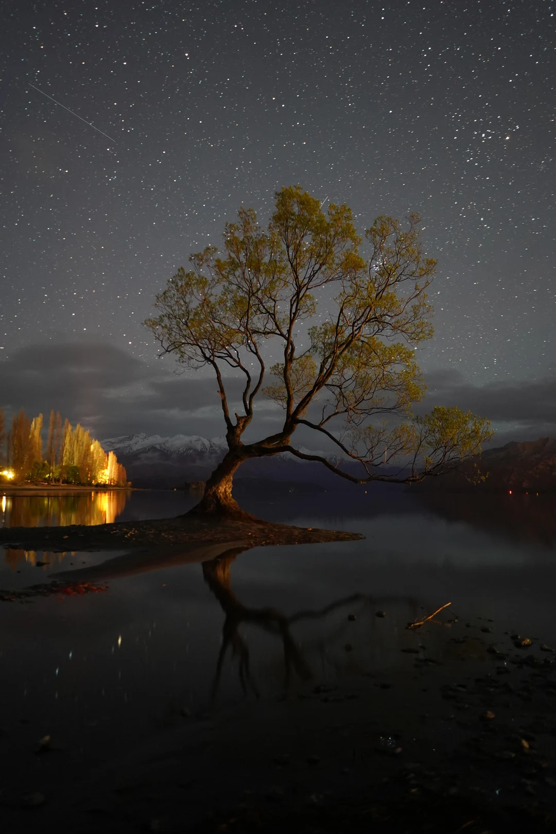 That Wanaka tree before it was vandalised [OC] [4000x6000] | Scrolller