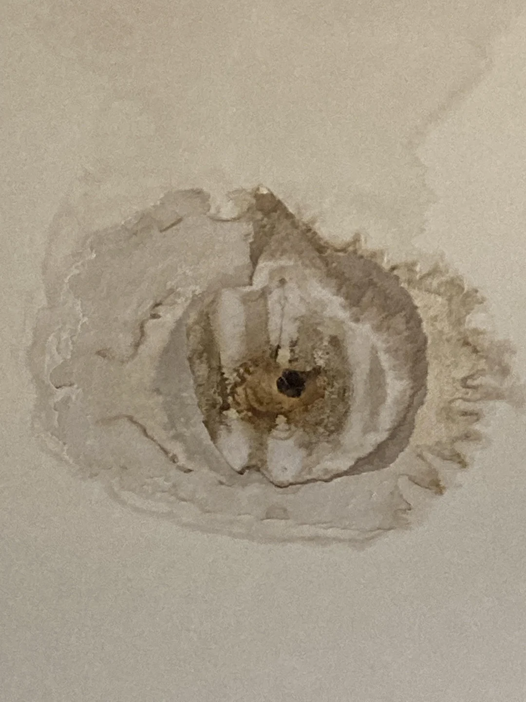 How to get every STD and STI at once… | Scrolller