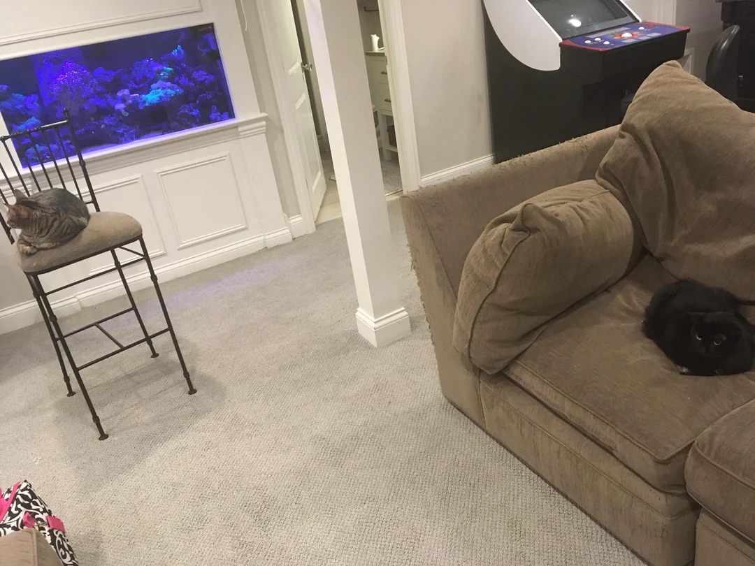 Double loaf | Scrolller