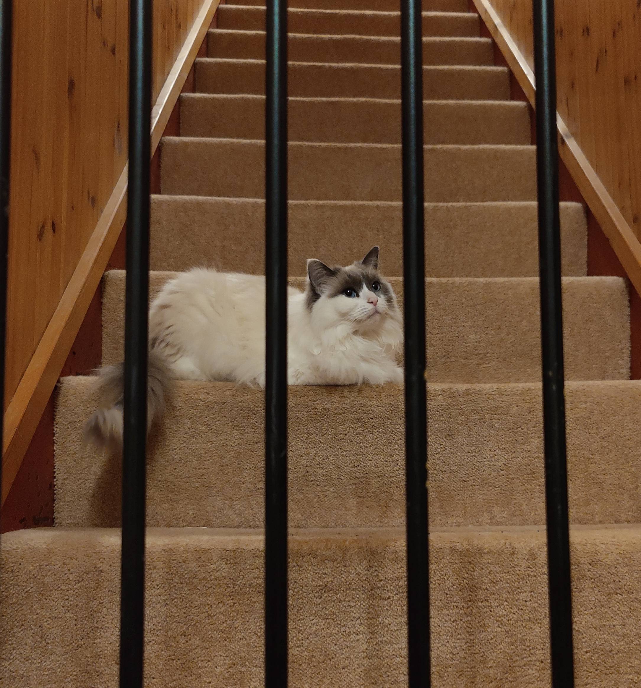 Dory the war criminal | Scrolller