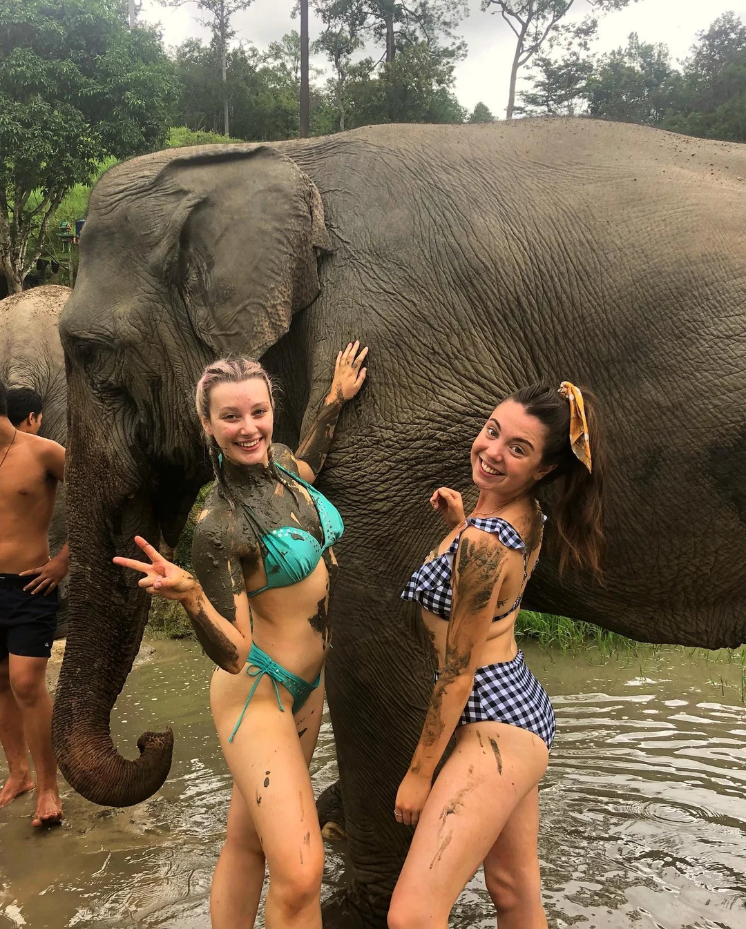 Mud Bath with an Elephant | Scrolller