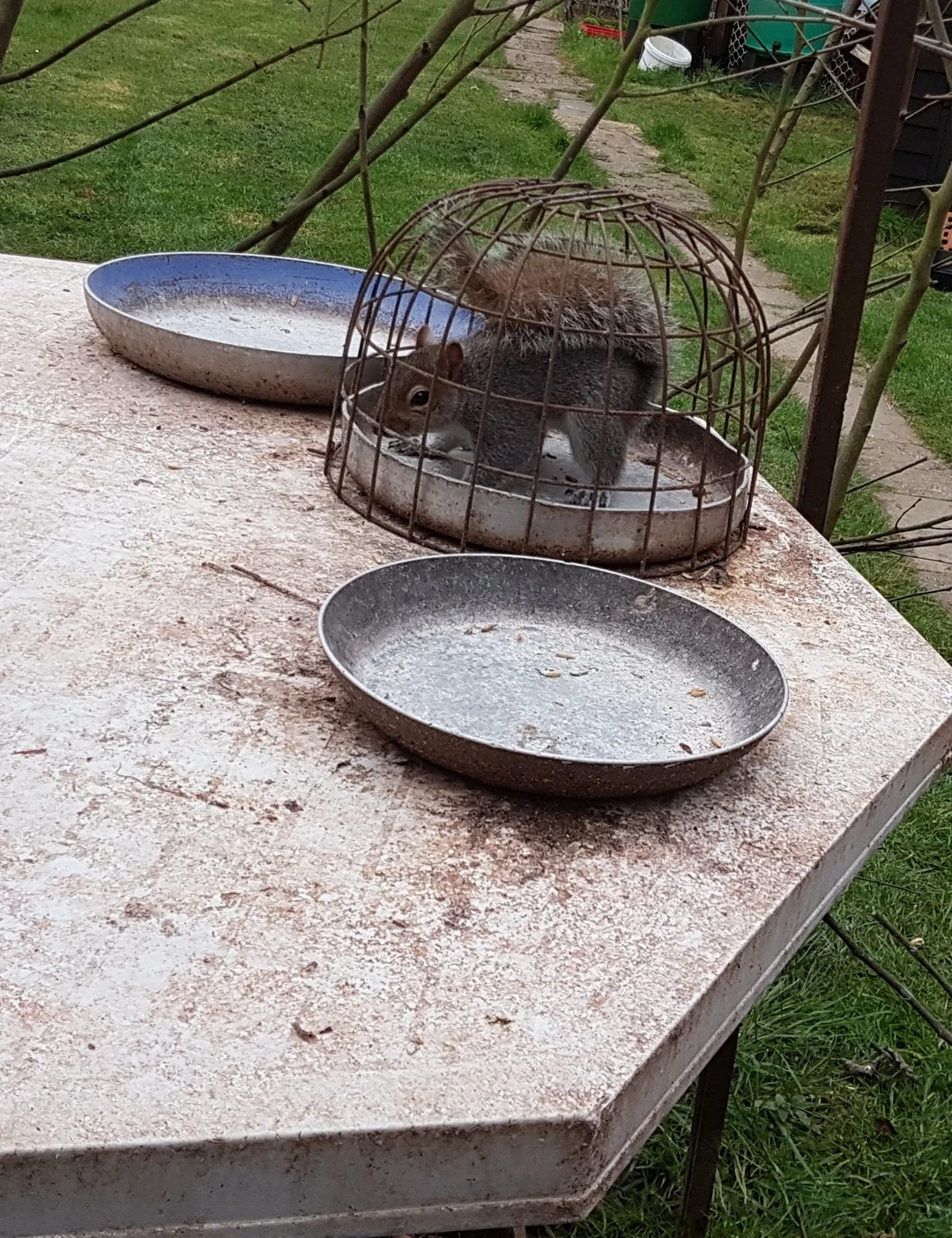 When things don't go quite according to pan... | Scrolller