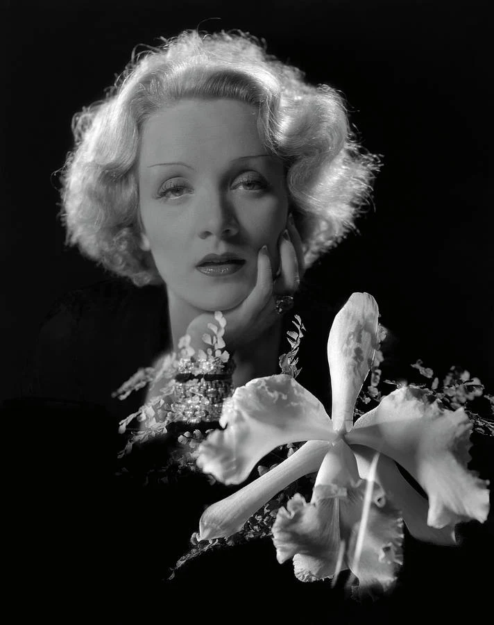 Marlene Dietrich, 1930's | Scrolller