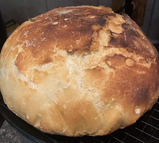 Weekend peasant loaf! I’m super new to bread baking, but it was freaking delicious. | Scrolller