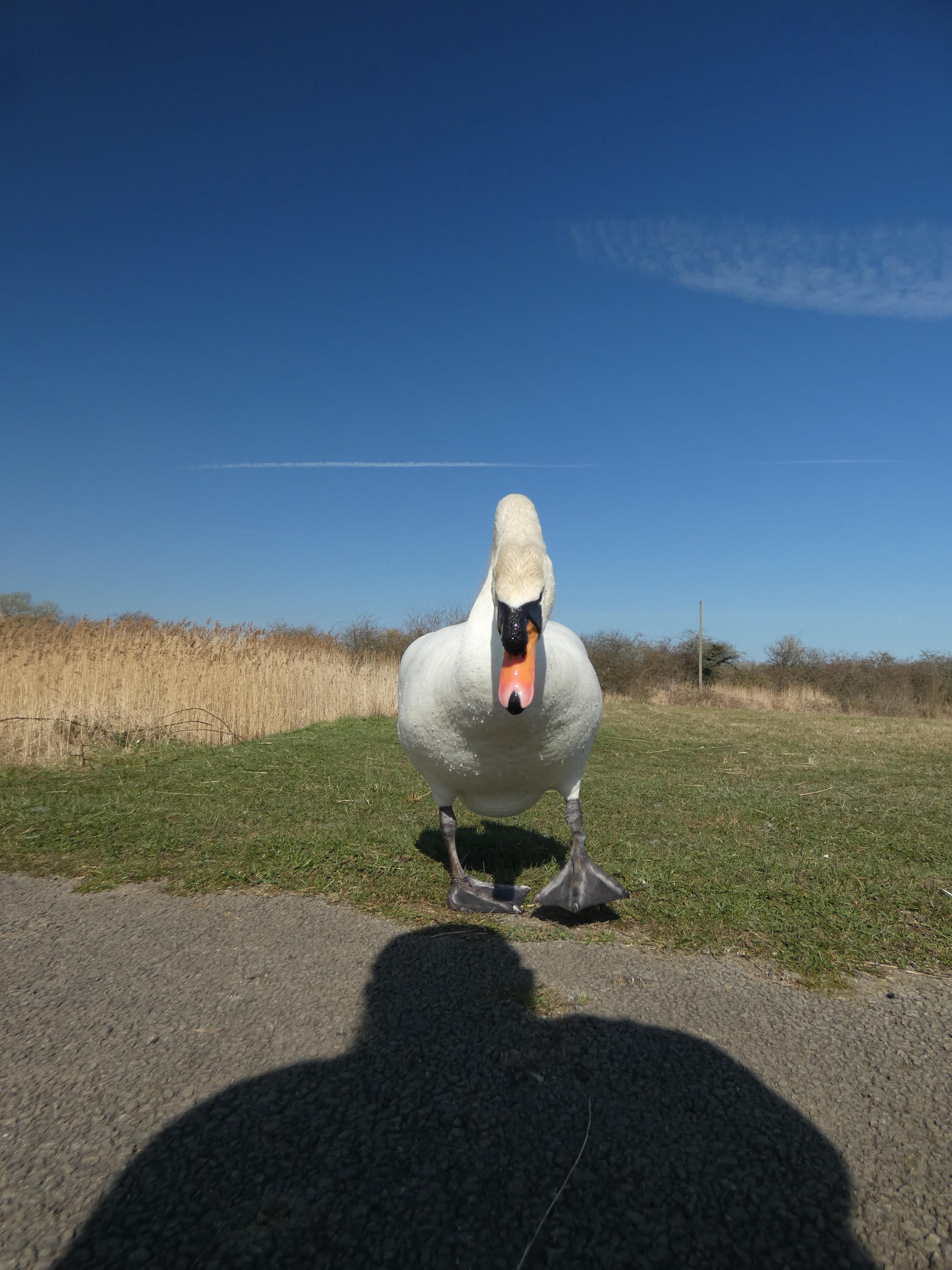 Photos taken moments before death. | Scrolller