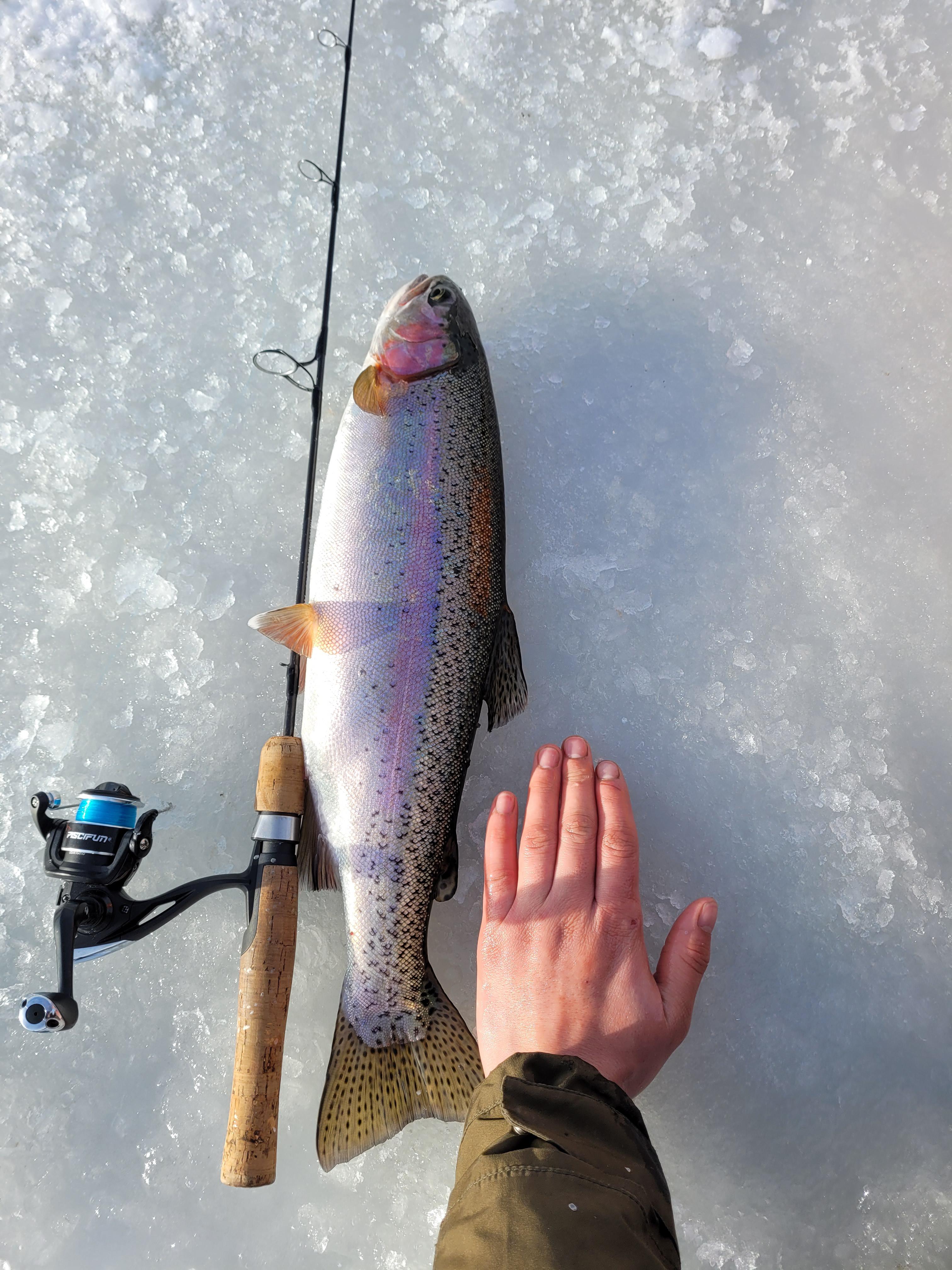 She Thick. | Scrolller