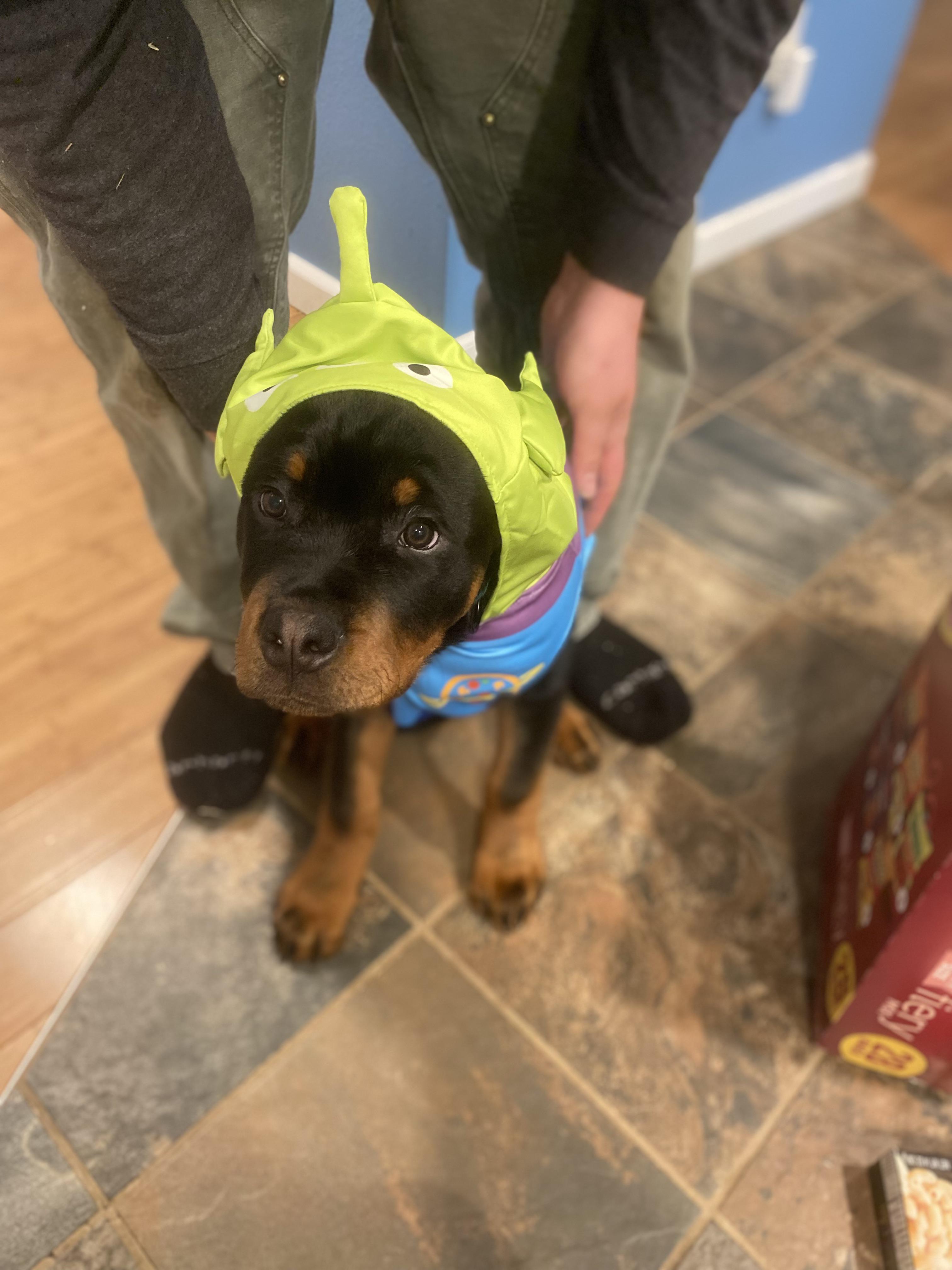 The claw - Peaches | Scrolller