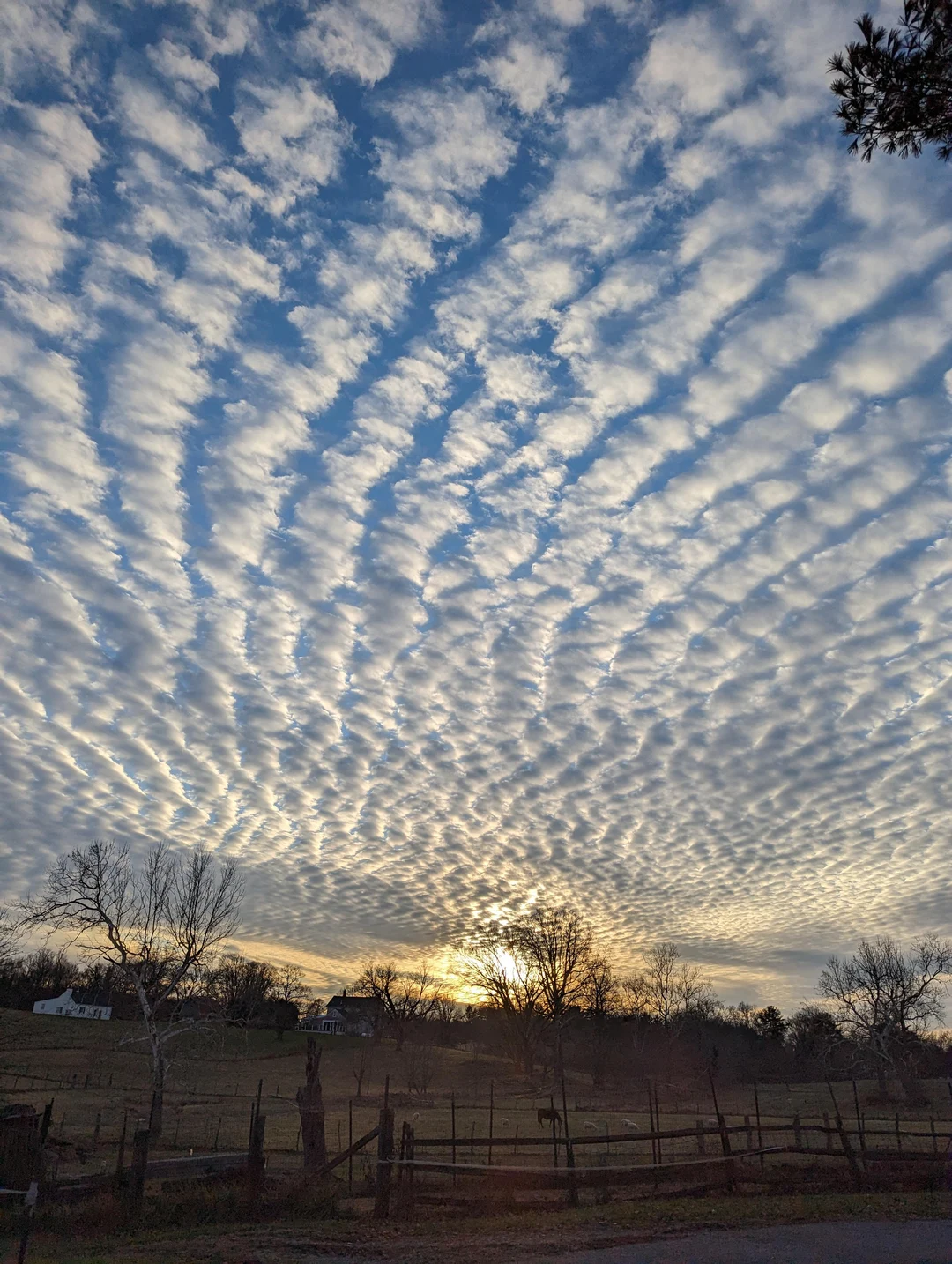 Maryland Farm Sunset, What are these cloud formations called? | Scrolller