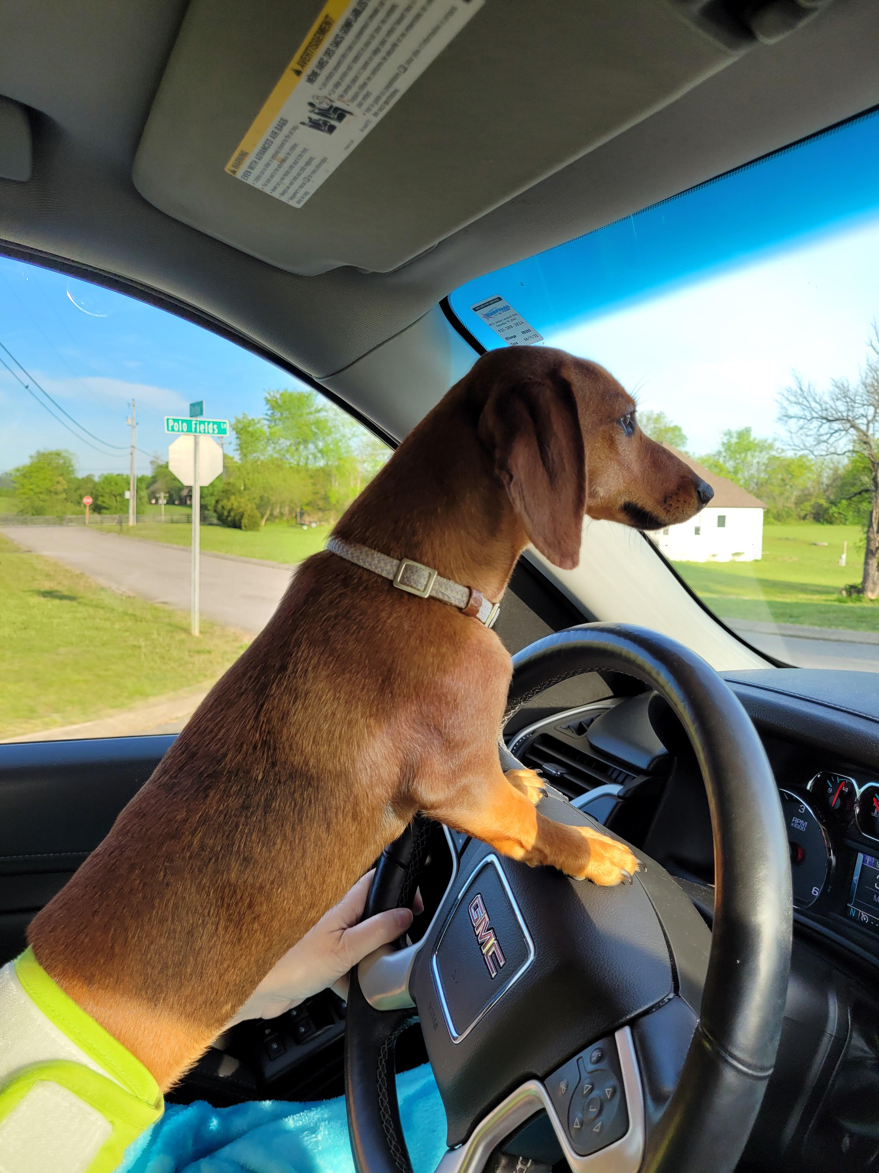 Discover more like Funny: Fast and ferocious and Related Content | Scrolller