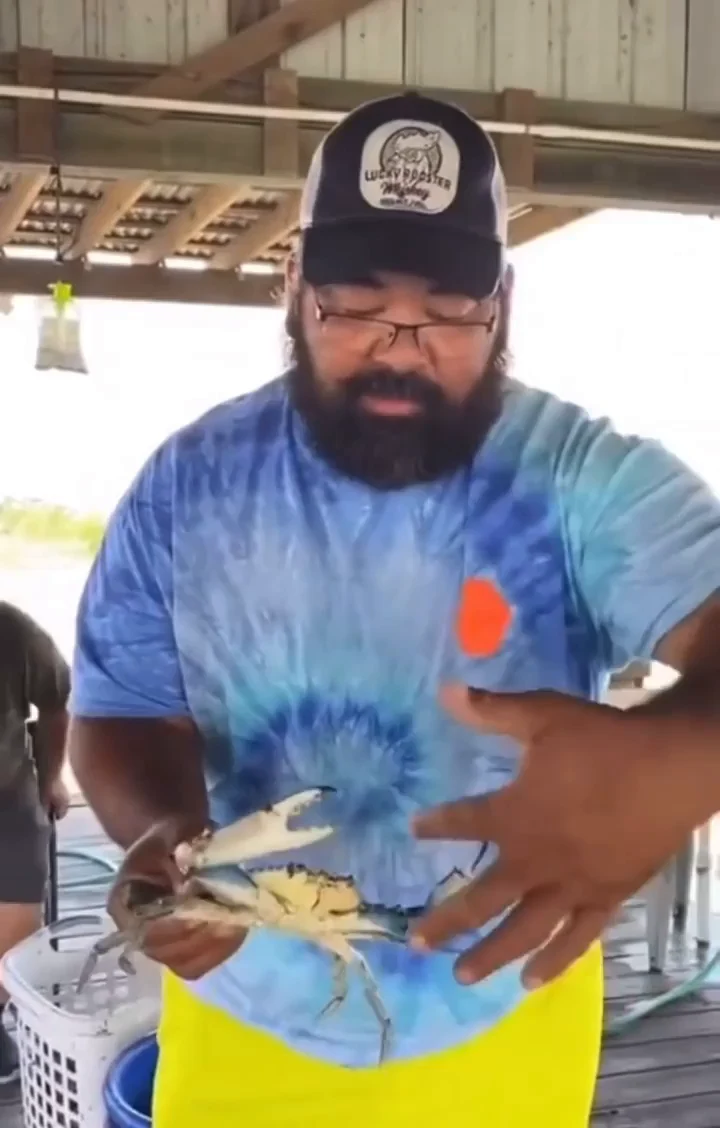 Orgasmic Crab | Scrolller