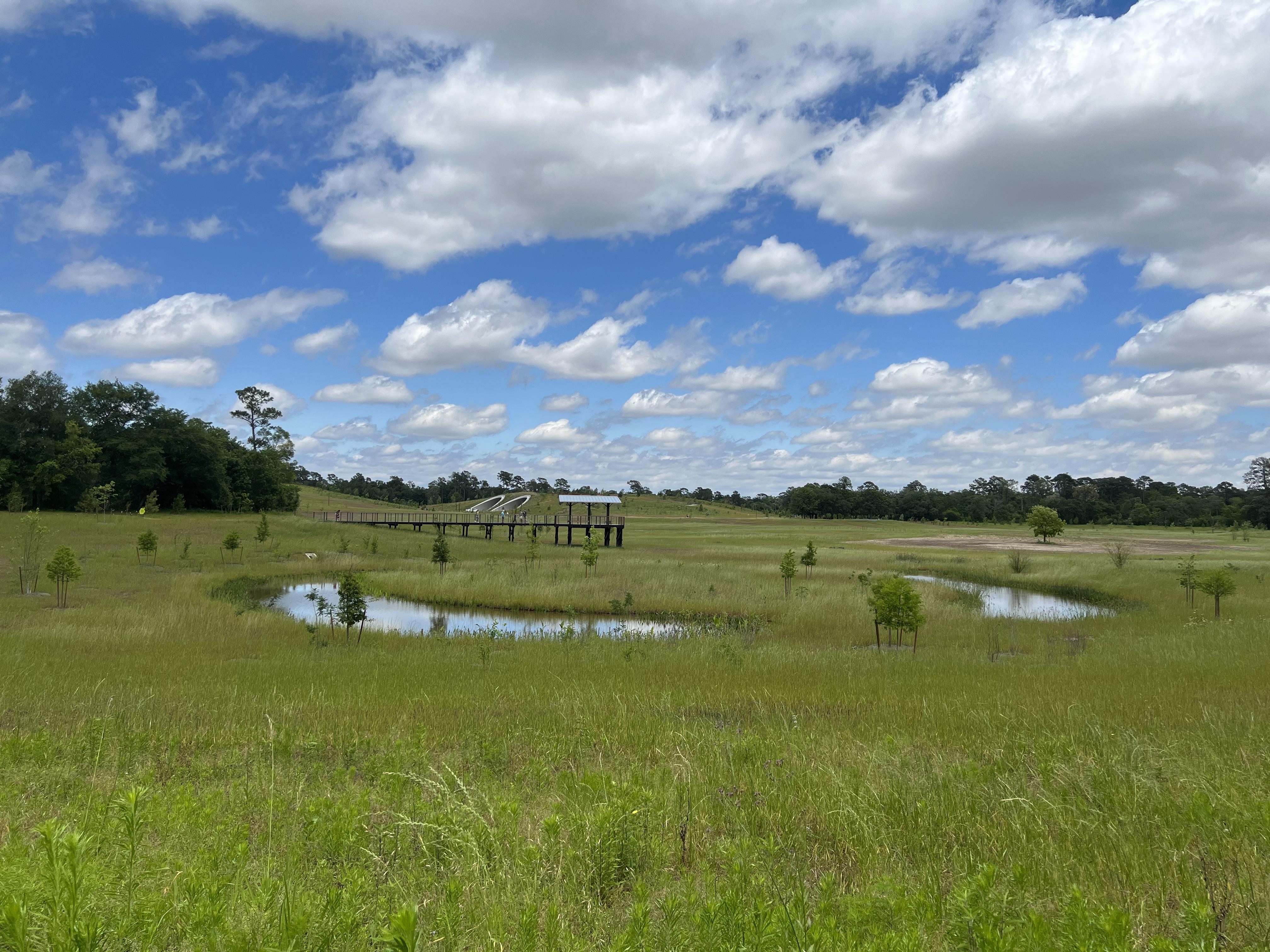 Memorial Park. | Scrolller