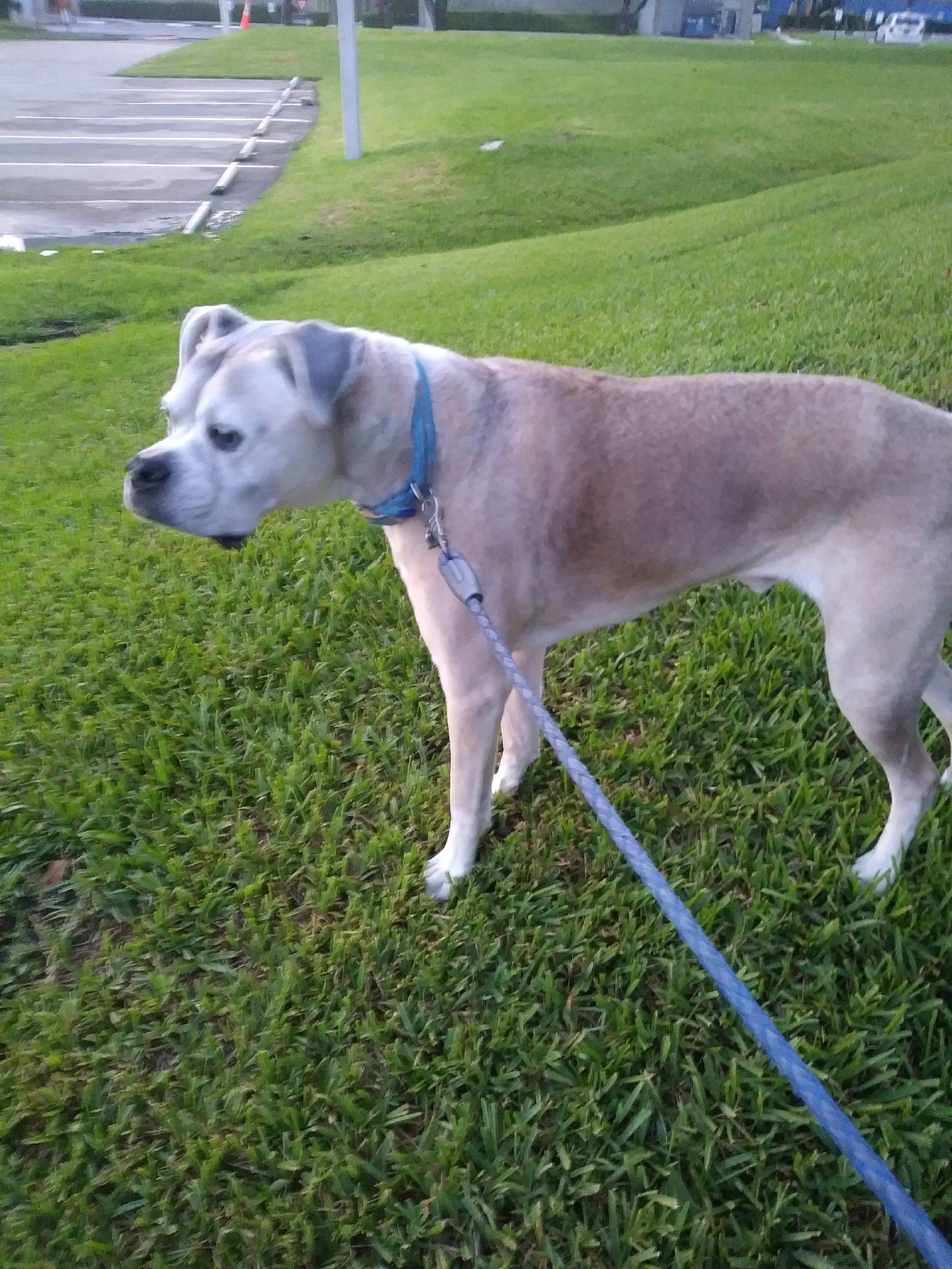 My stepson handsome sweet boy Walter Big Lebowski | Scrolller