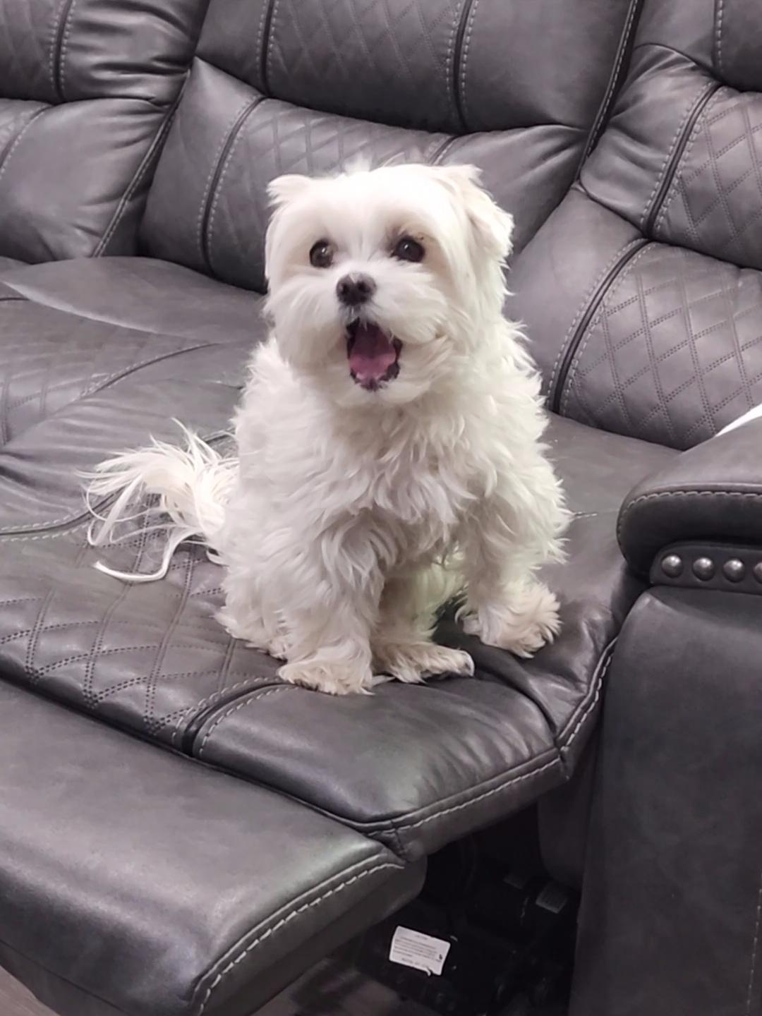 Surprised | Scrolller