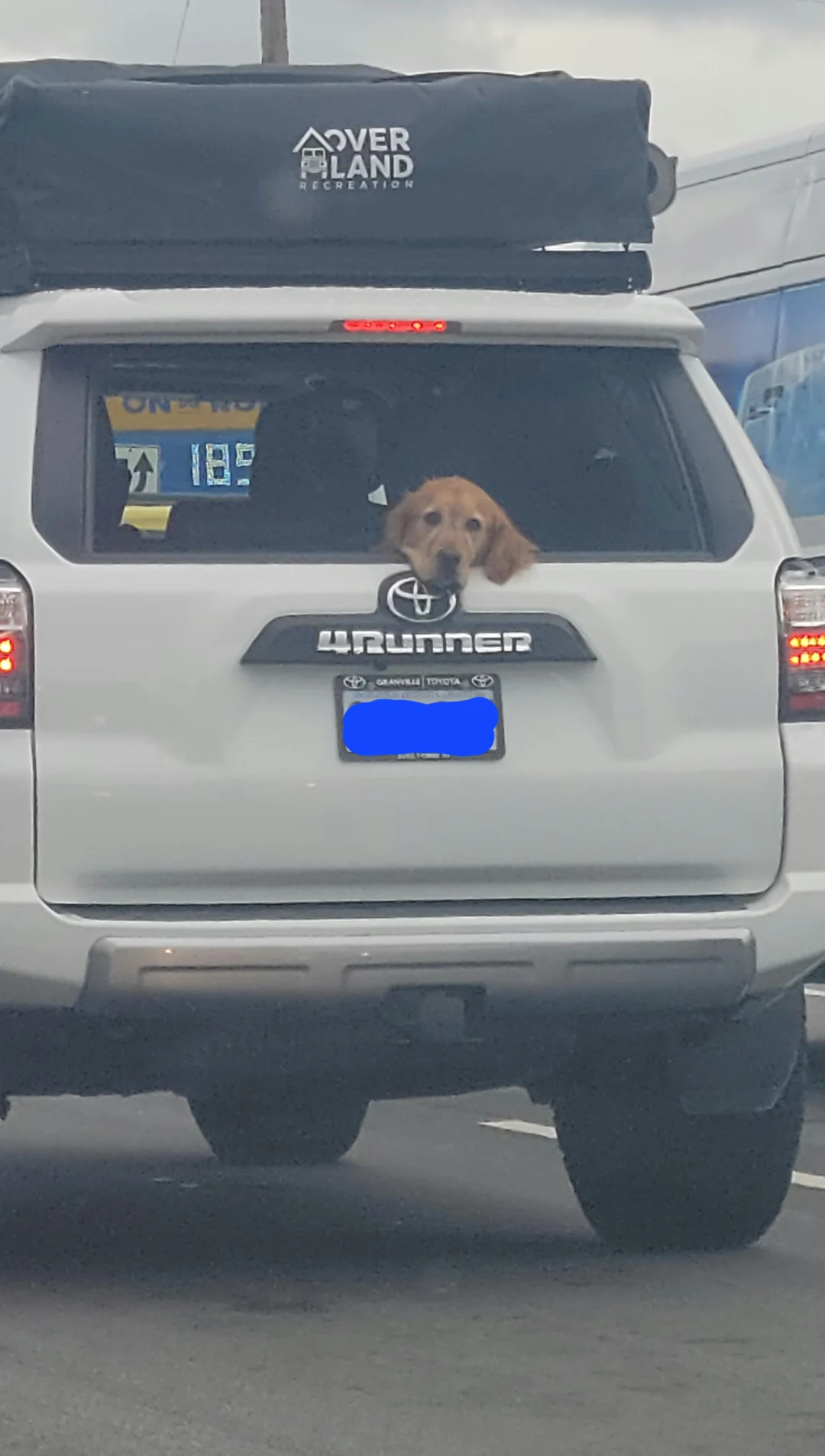 Traffic Sucks | Scrolller