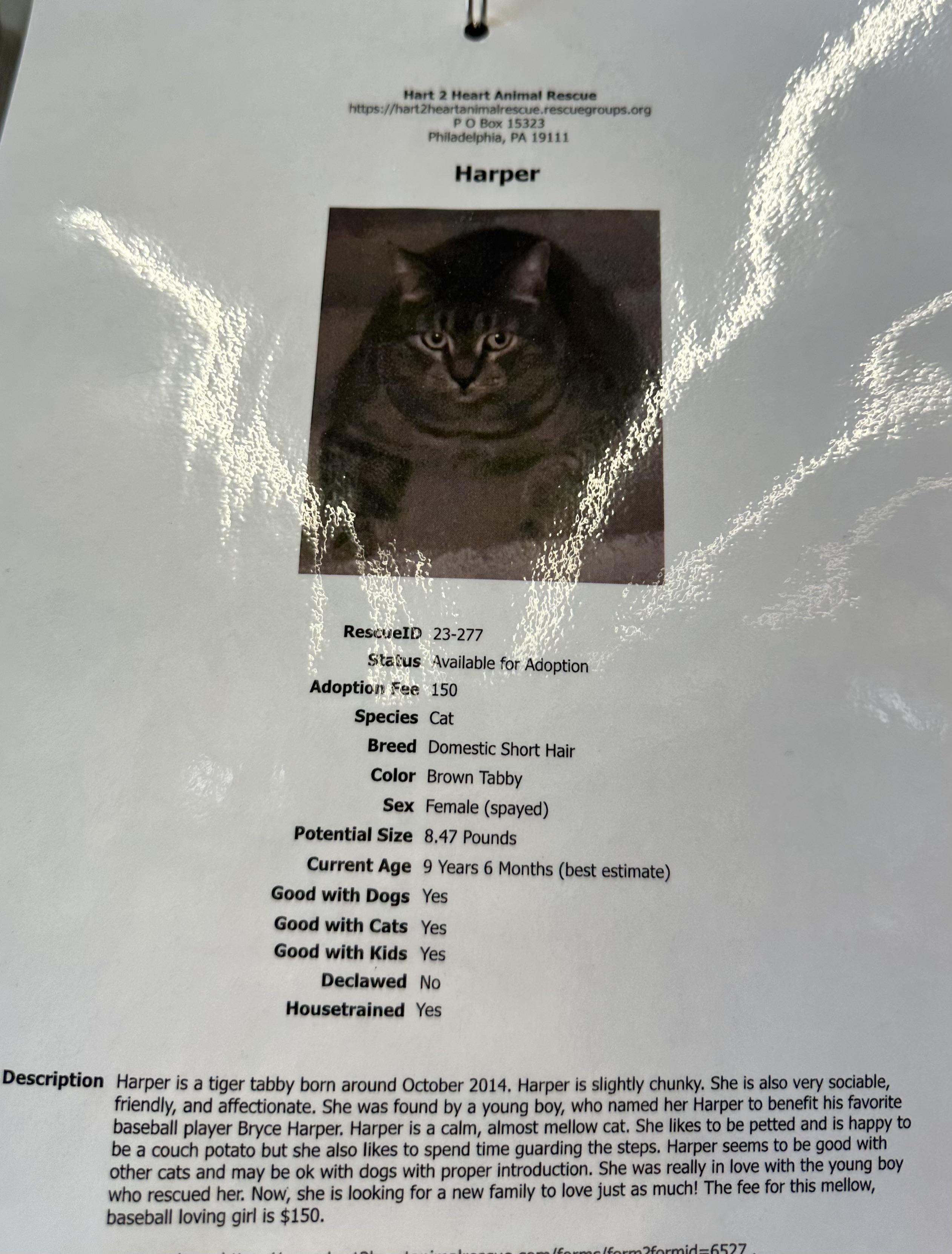 “Harper is slightly chunky” | Scrolller