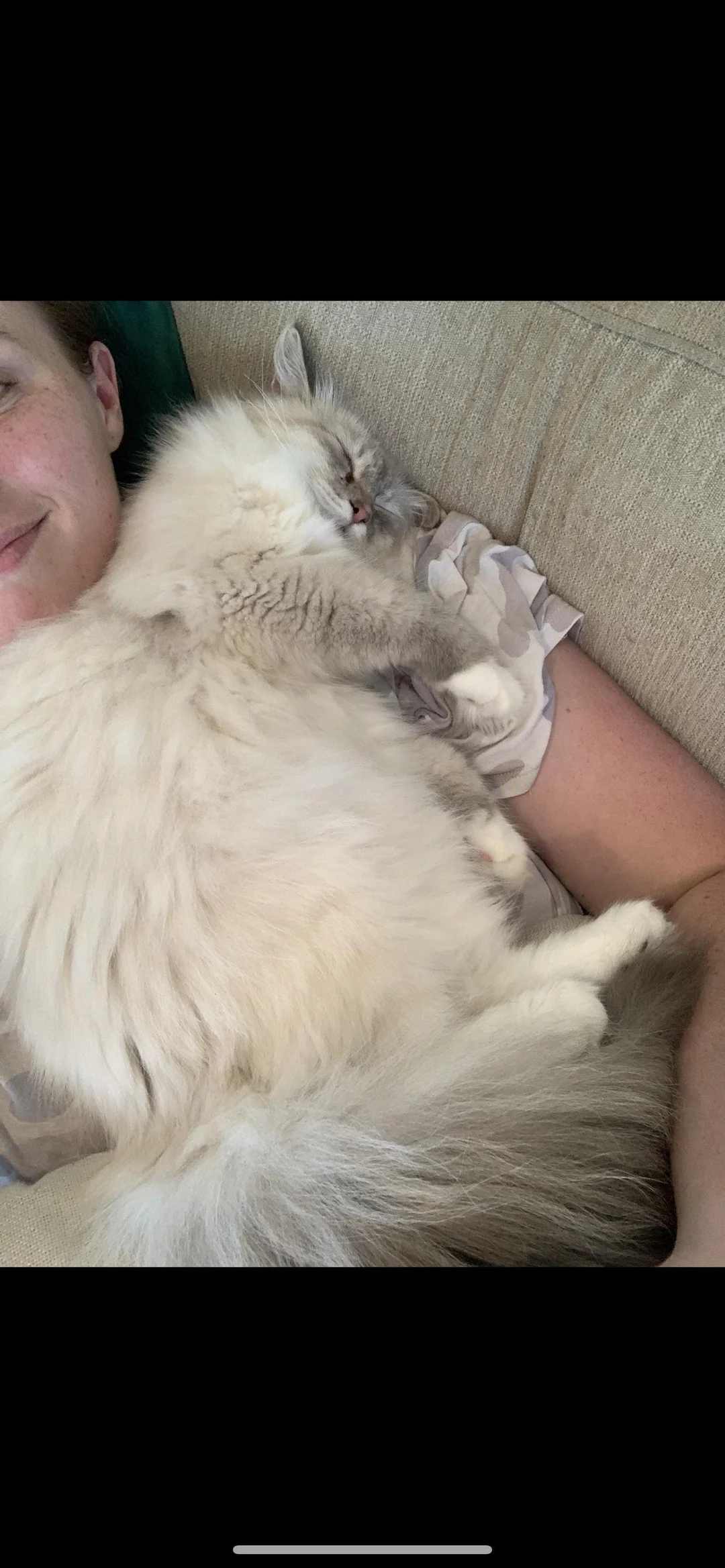 Pregnant Cuddles | Scrolller