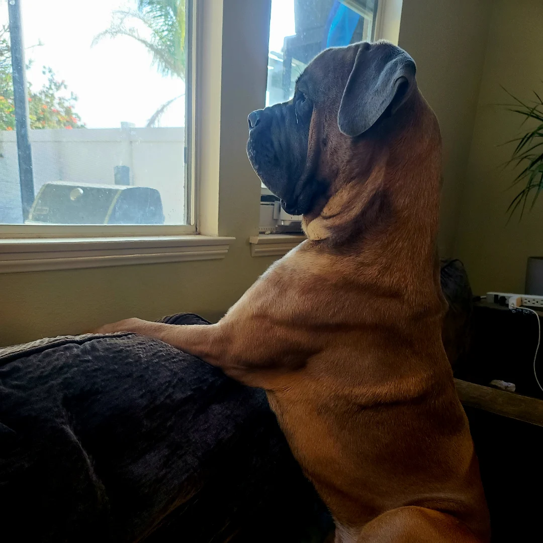 Bones is so fancy! | Scrolller