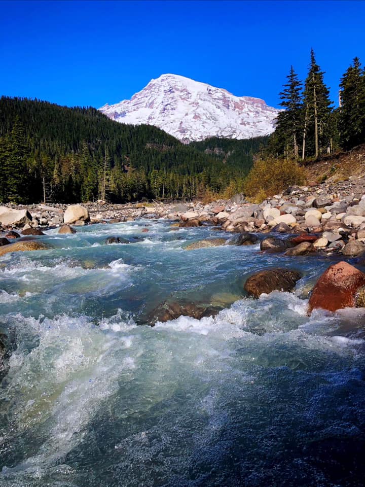Mount Rainier National Park, Washington 2019 | Scrolller