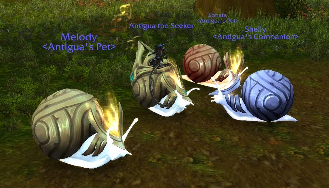 Is this too many snails? | Scrolller