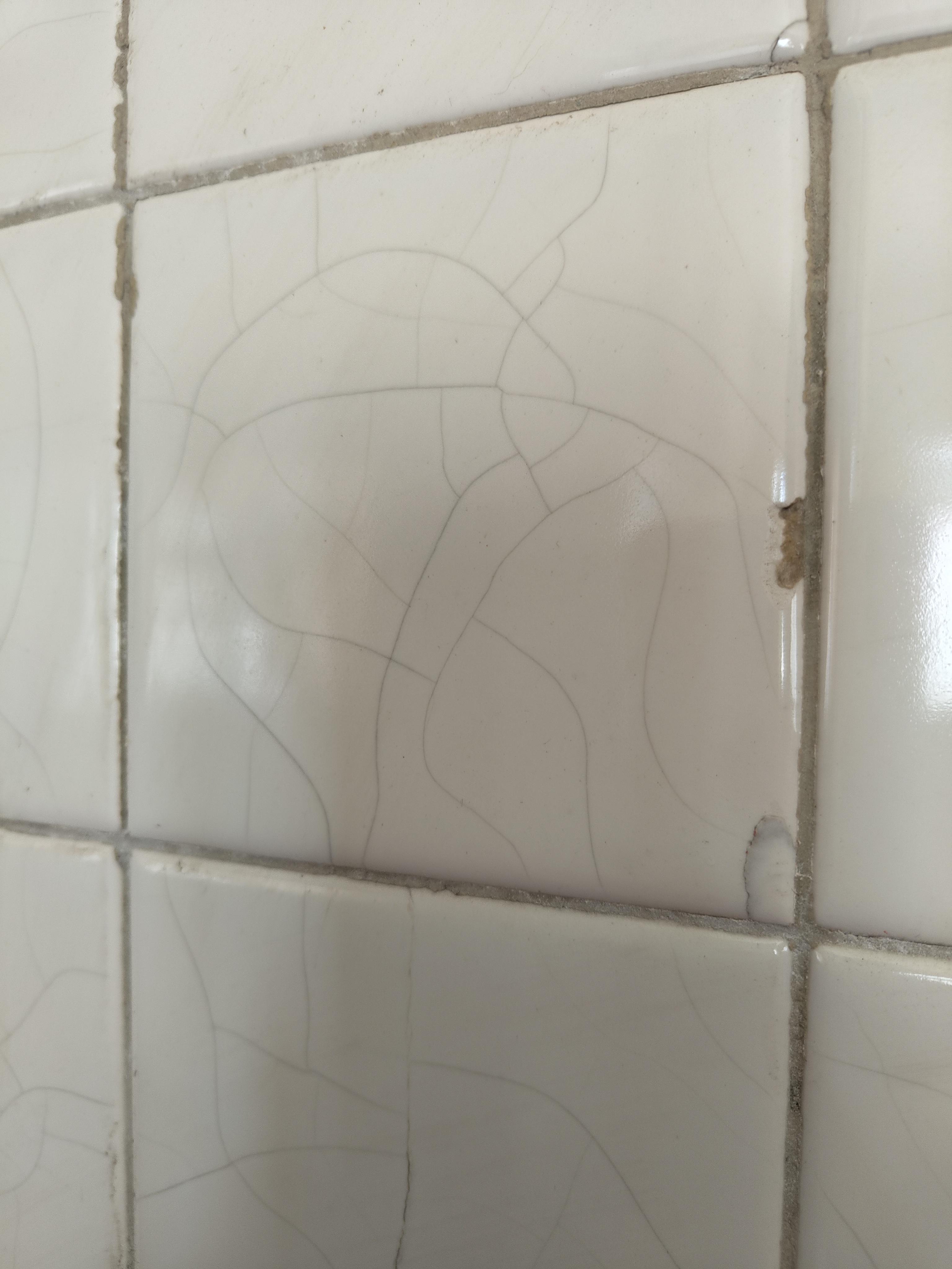 Help finding Tom Murphy signature | Scrolller