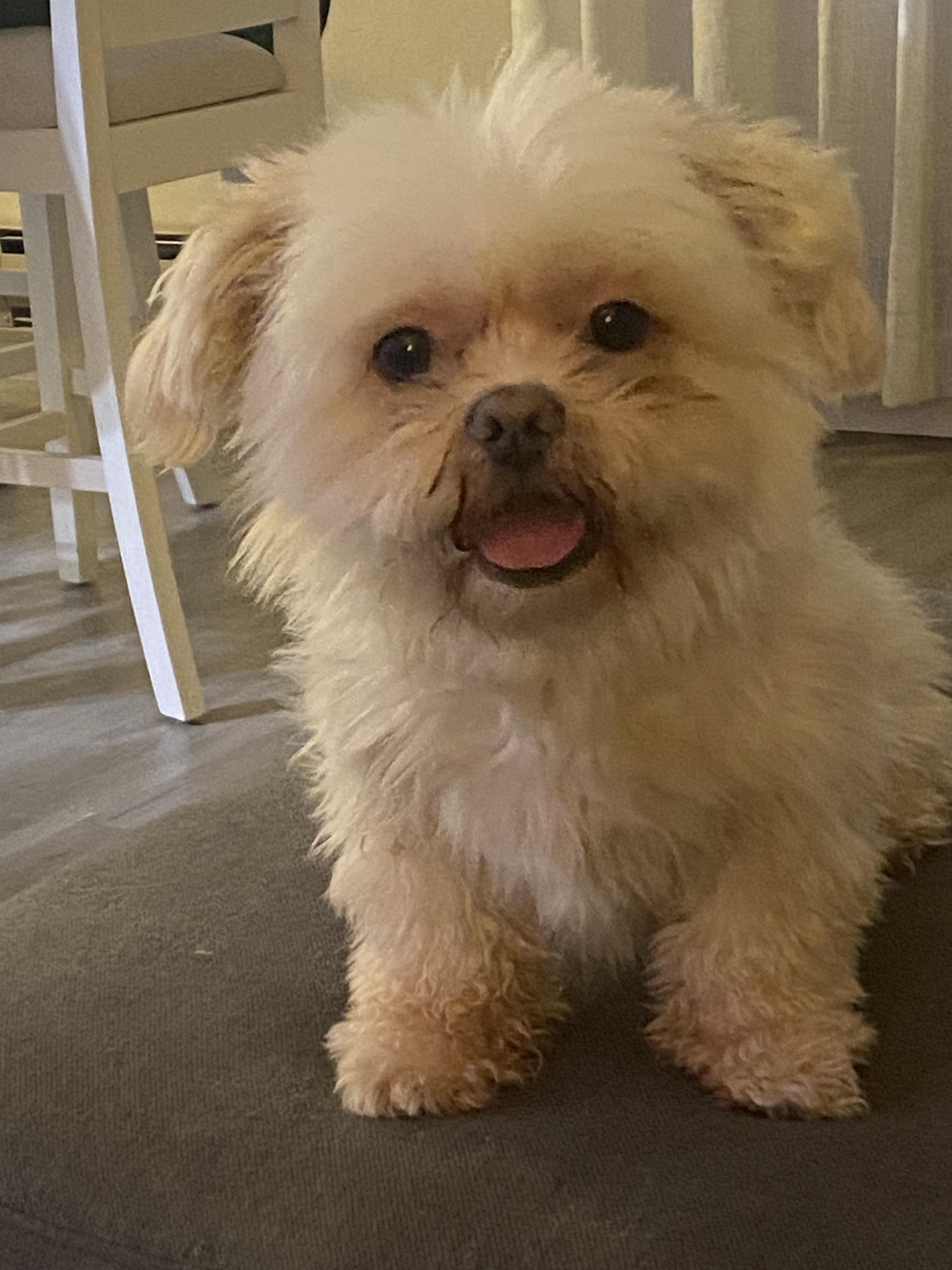 Ladies and gentlemen, may I introduce Miss Charley | Scrolller