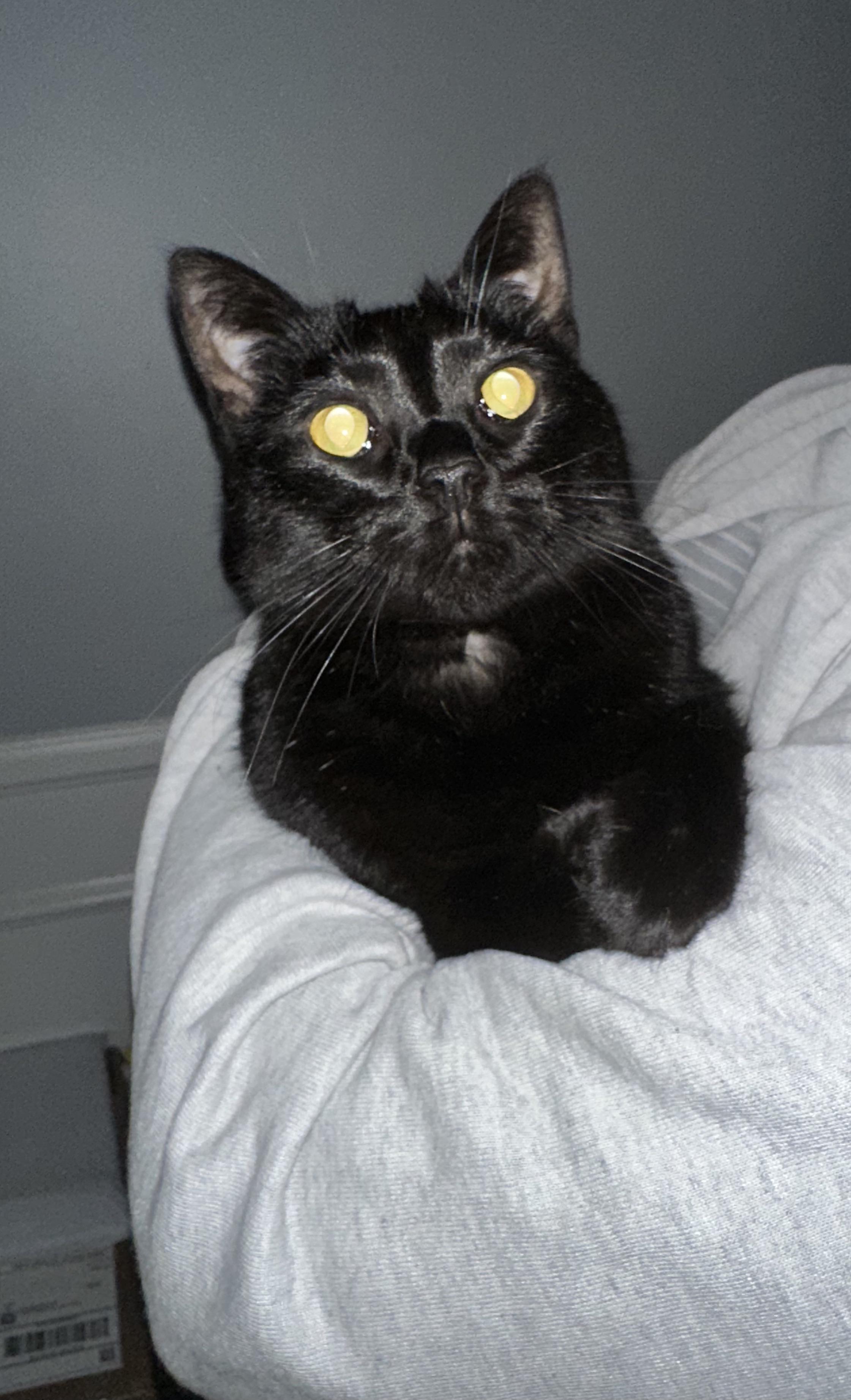 Little alien void! | Scrolller