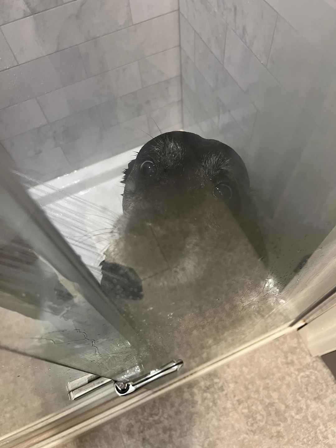 The horror of bathtime | Scrolller