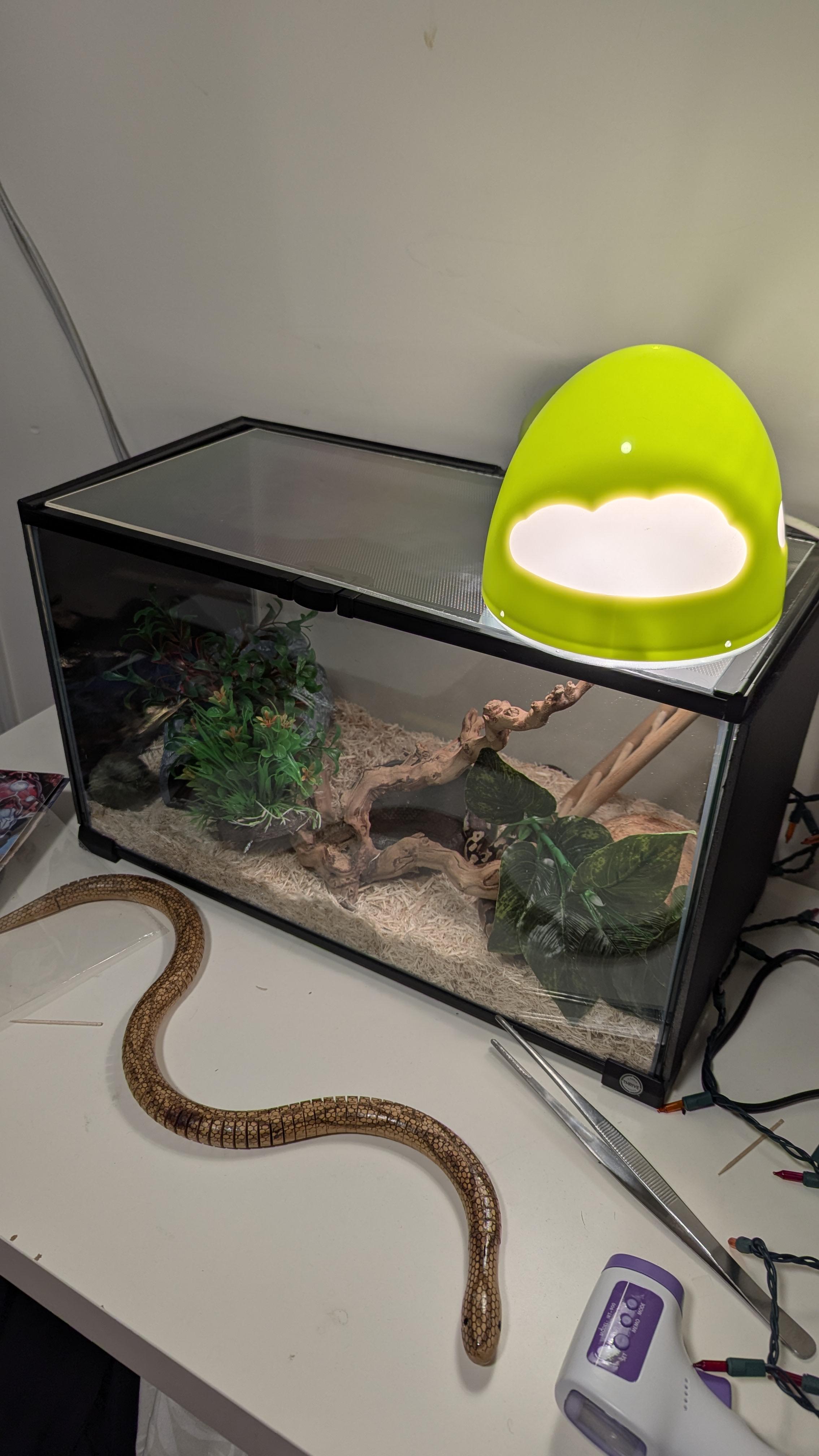 Enclosure too dark? | Scrolller