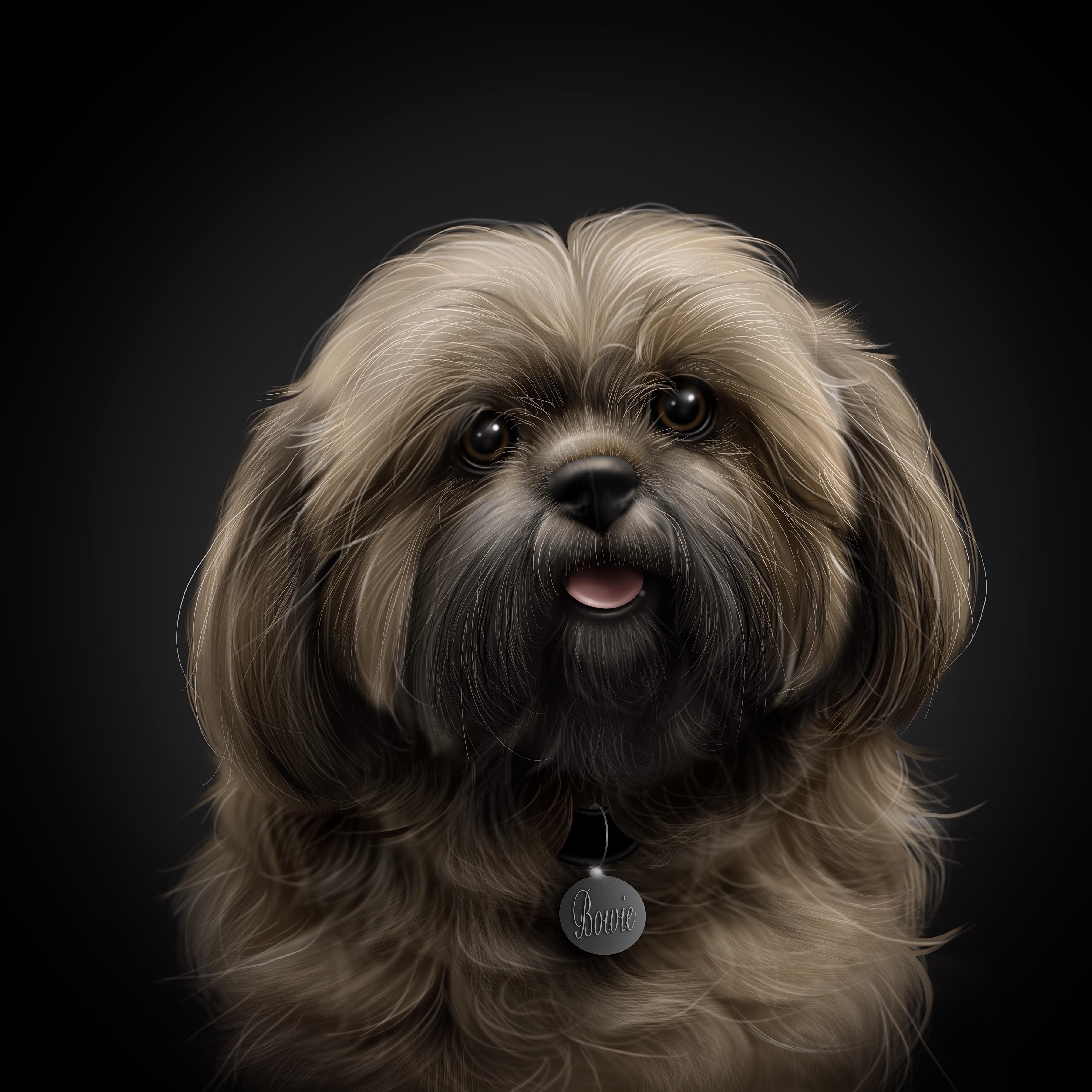 I drew this beautiful Shih Tzu today! 🐾 | Scrolller
