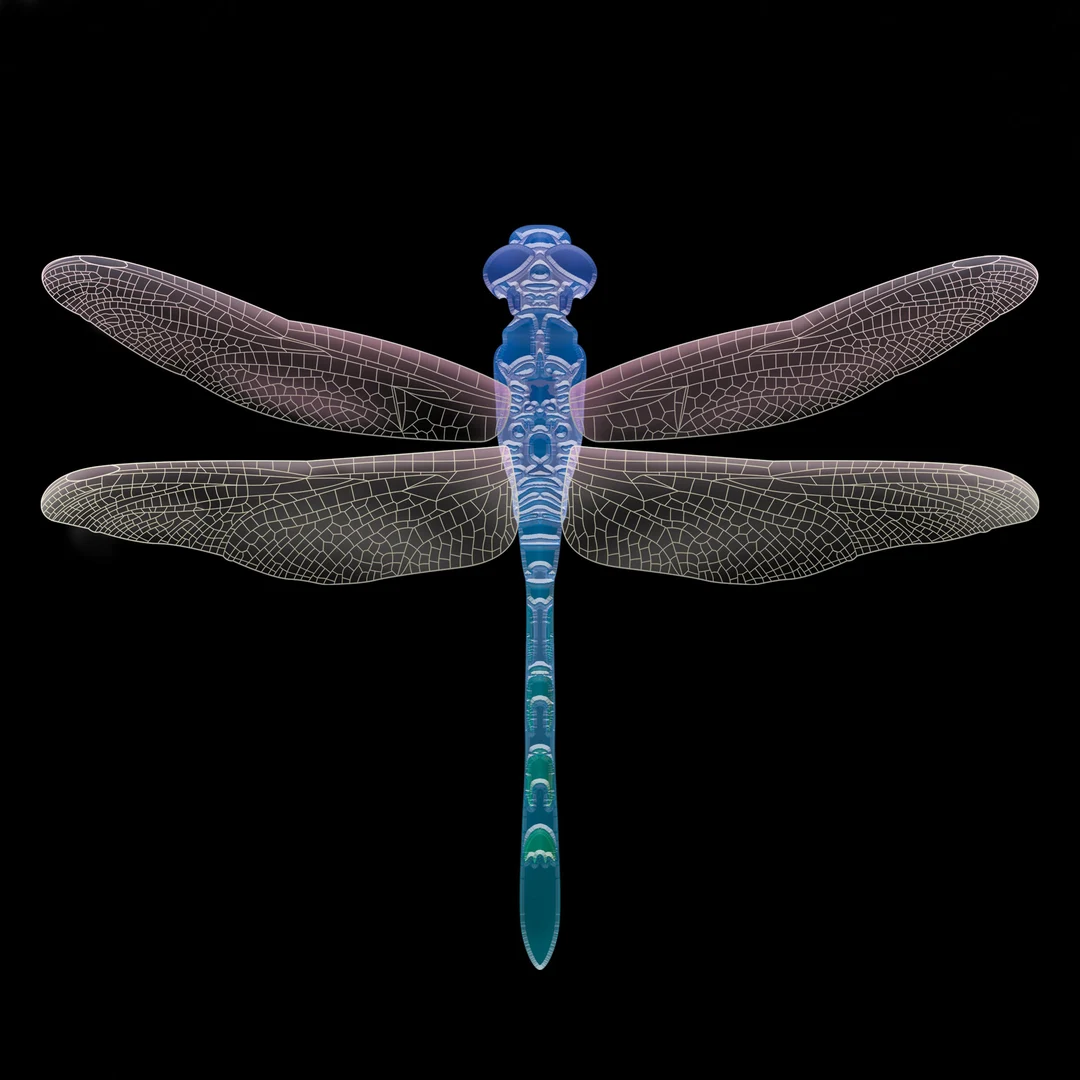 Dragonfly, Me, Illustrator/Photoshop, 2022 | Scrolller