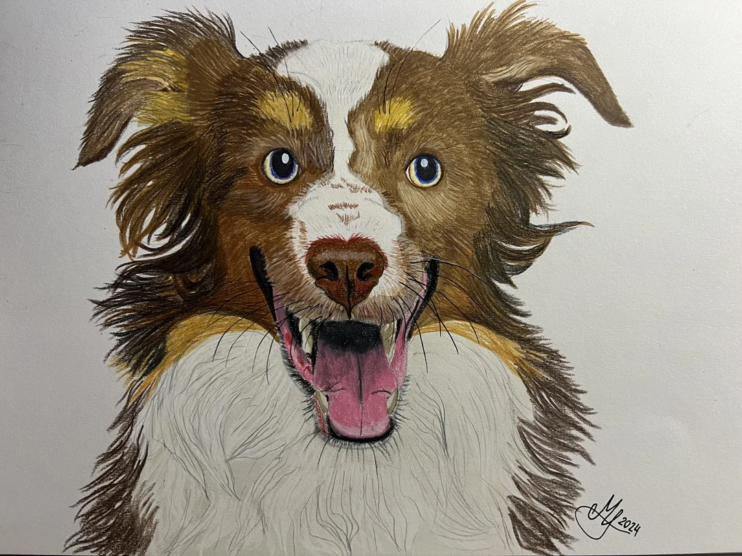 I drew this lovely fella | Scrolller