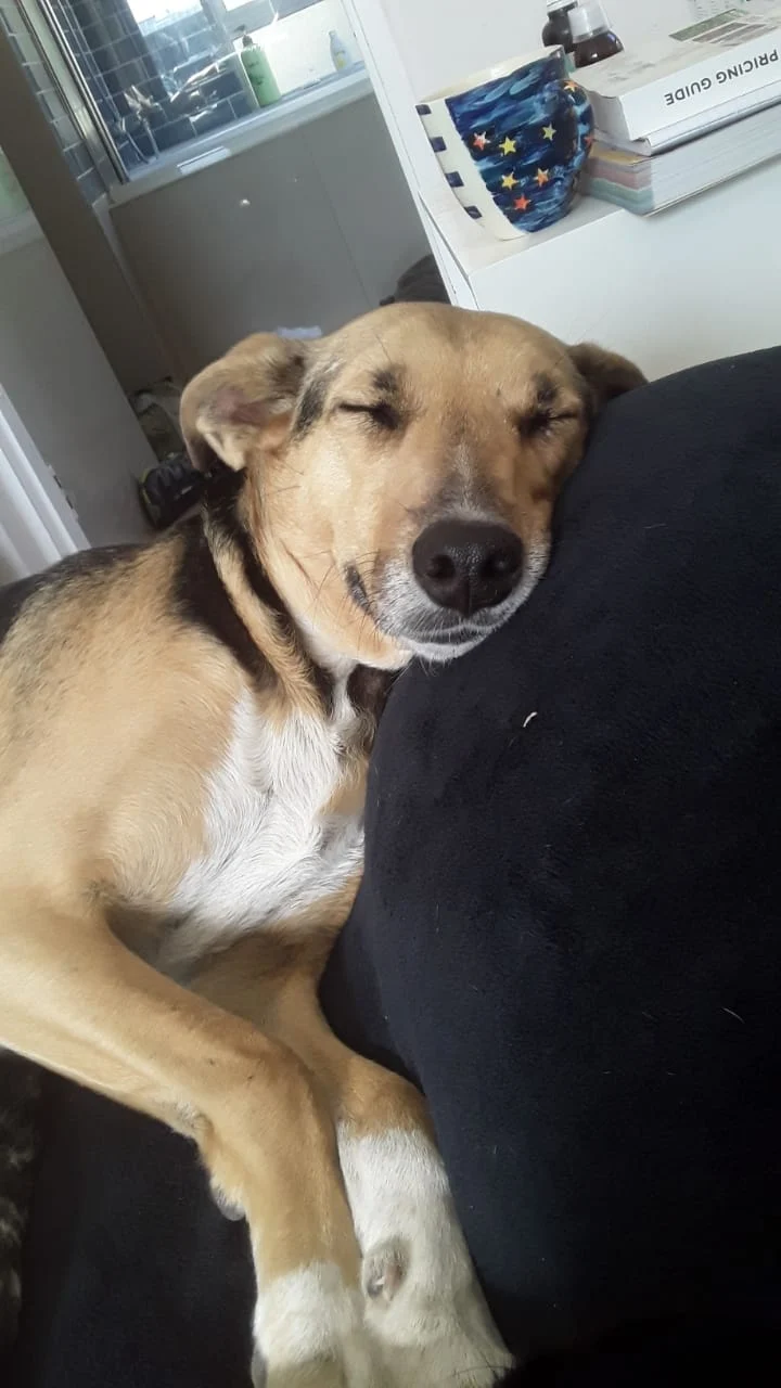 post beach nap... | Scrolller