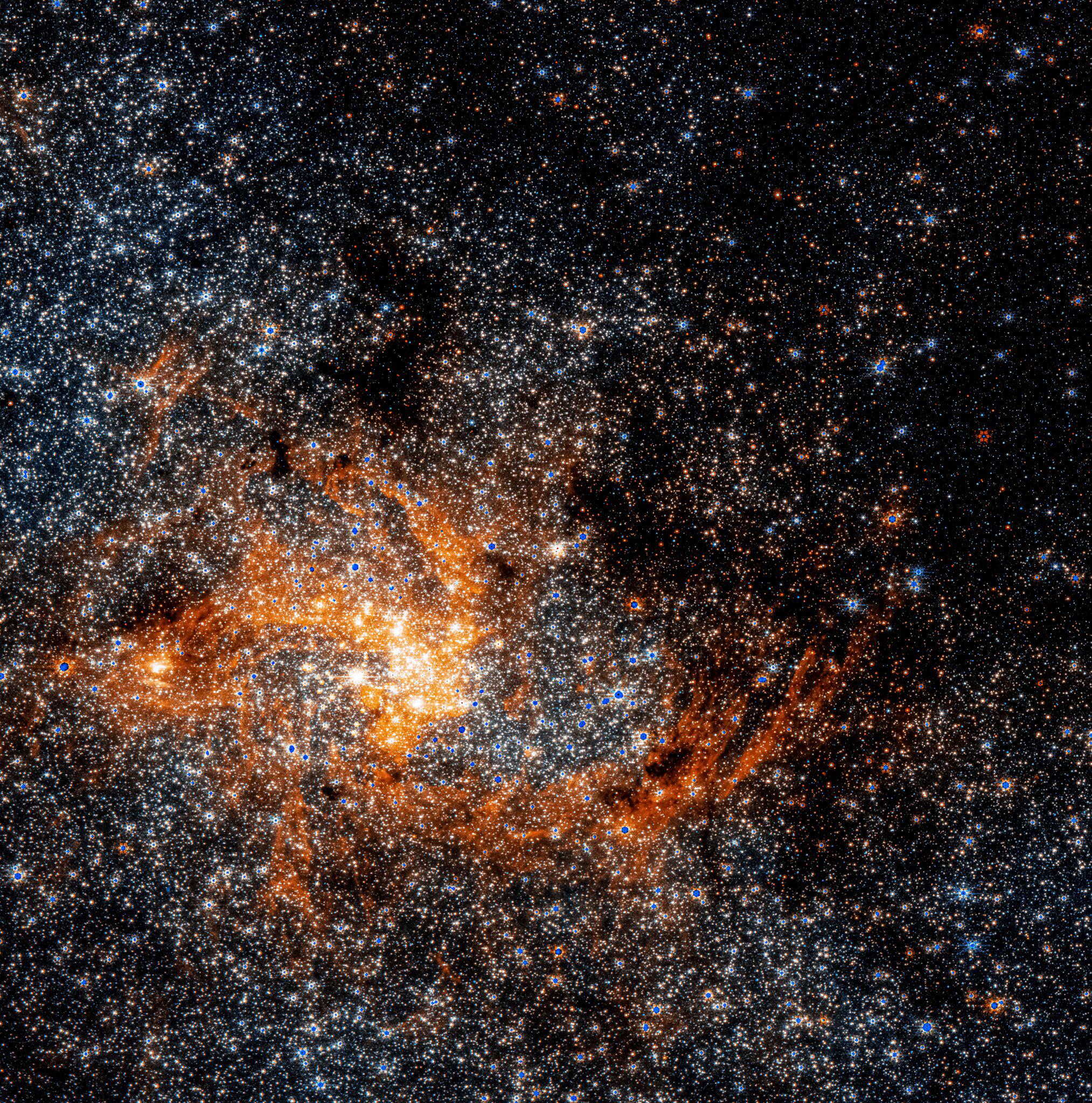 JWST just dropped a new image of our galactic center (Credit: NASA/ESA/CSA/T.Carpentier) | Scrolller