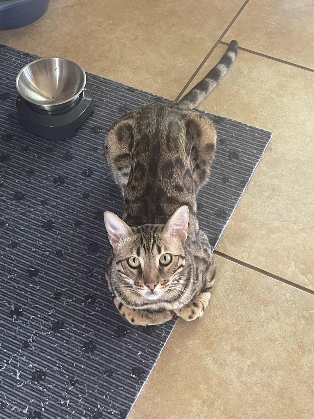 Rate Loki’s loaf form | Scrolller