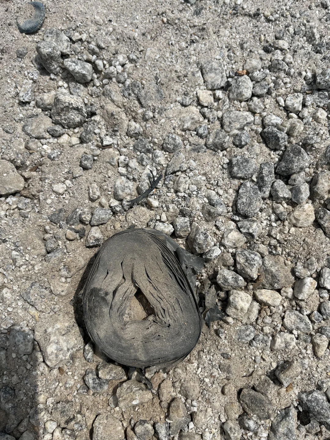 This old roll of electrical tape on the ground | Scrolller