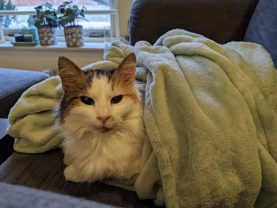 Very cosy | Scrolller