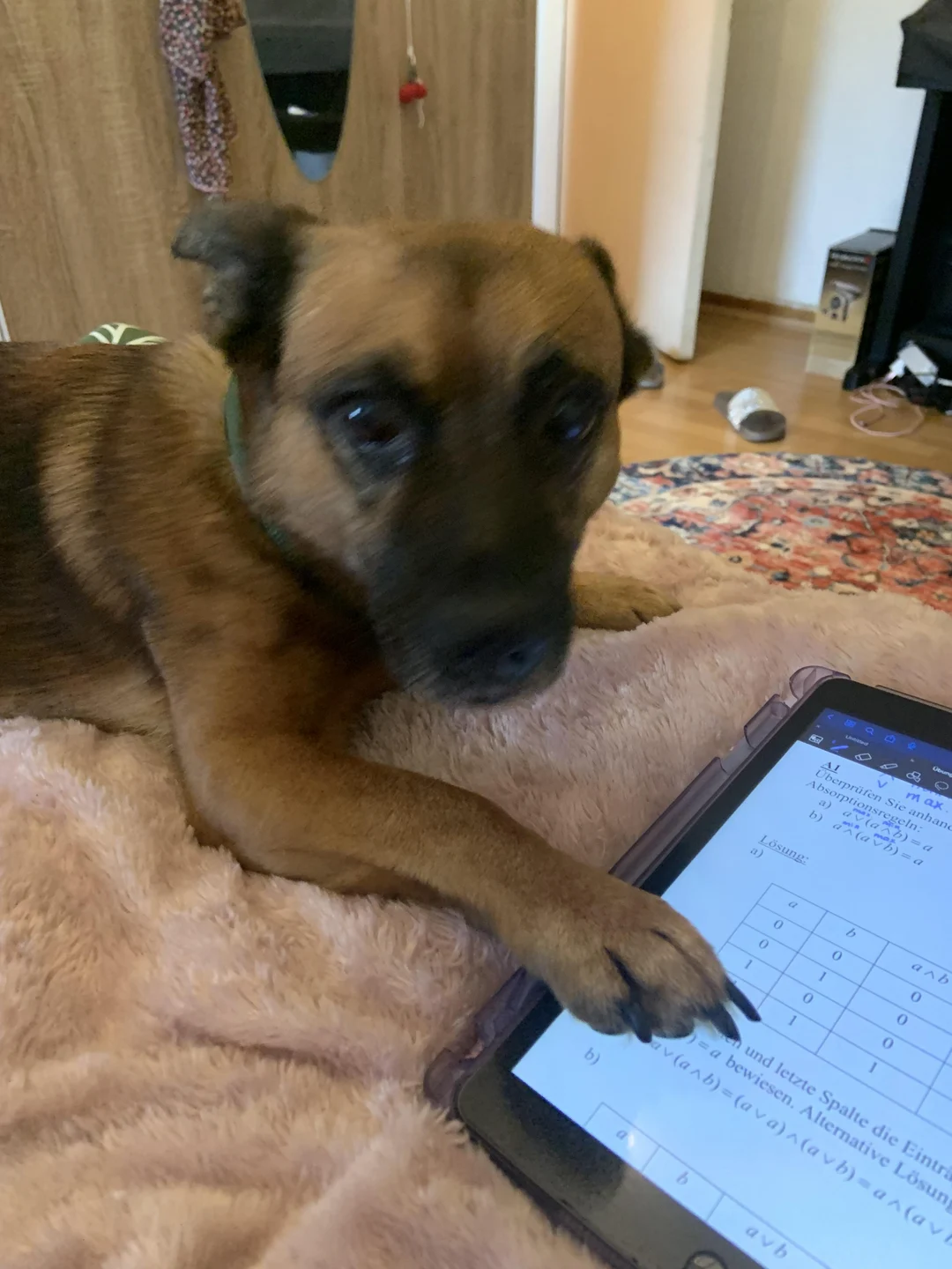 I am not allowed to do math | Scrolller