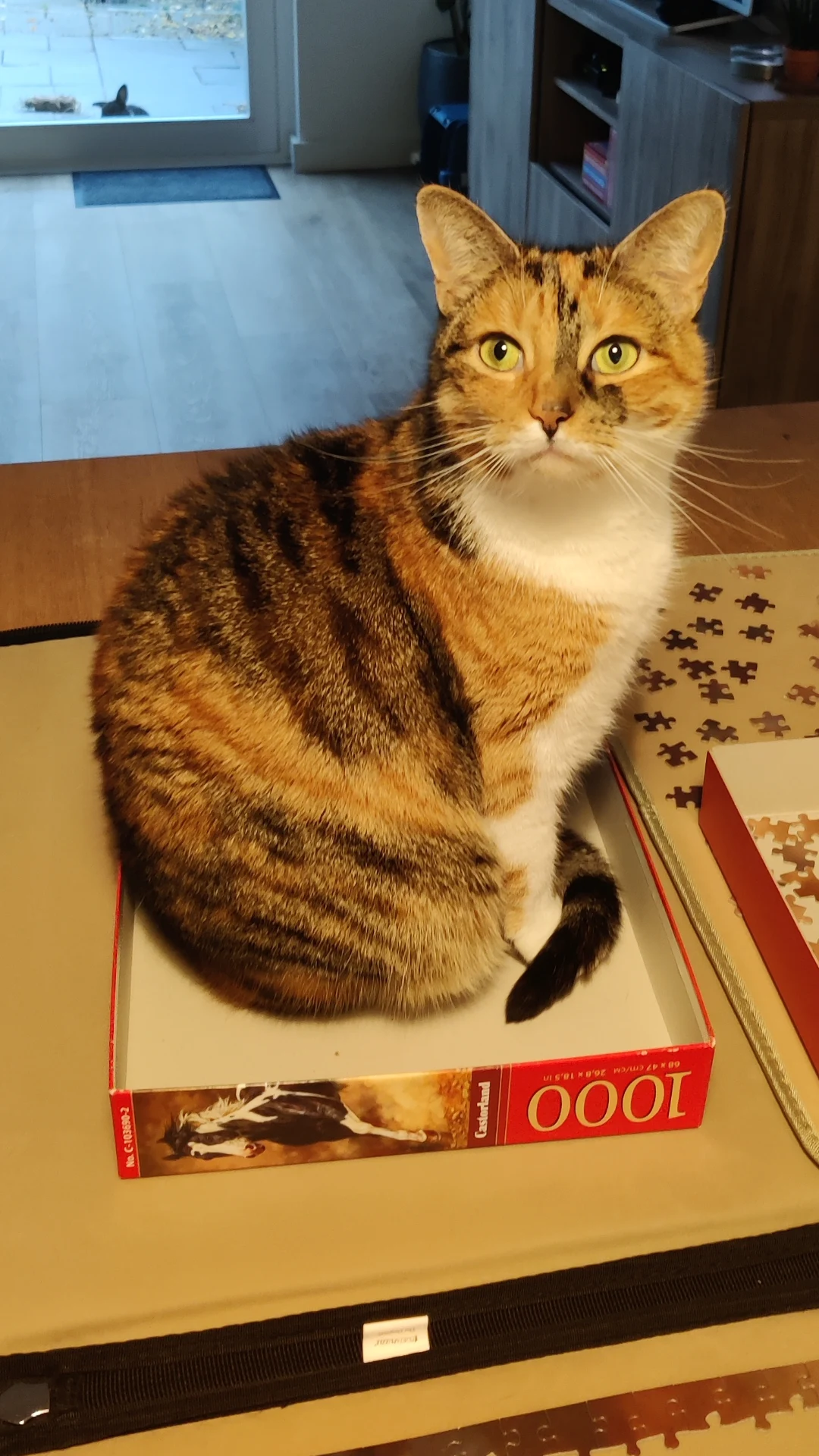 Way to easy. | Scrolller