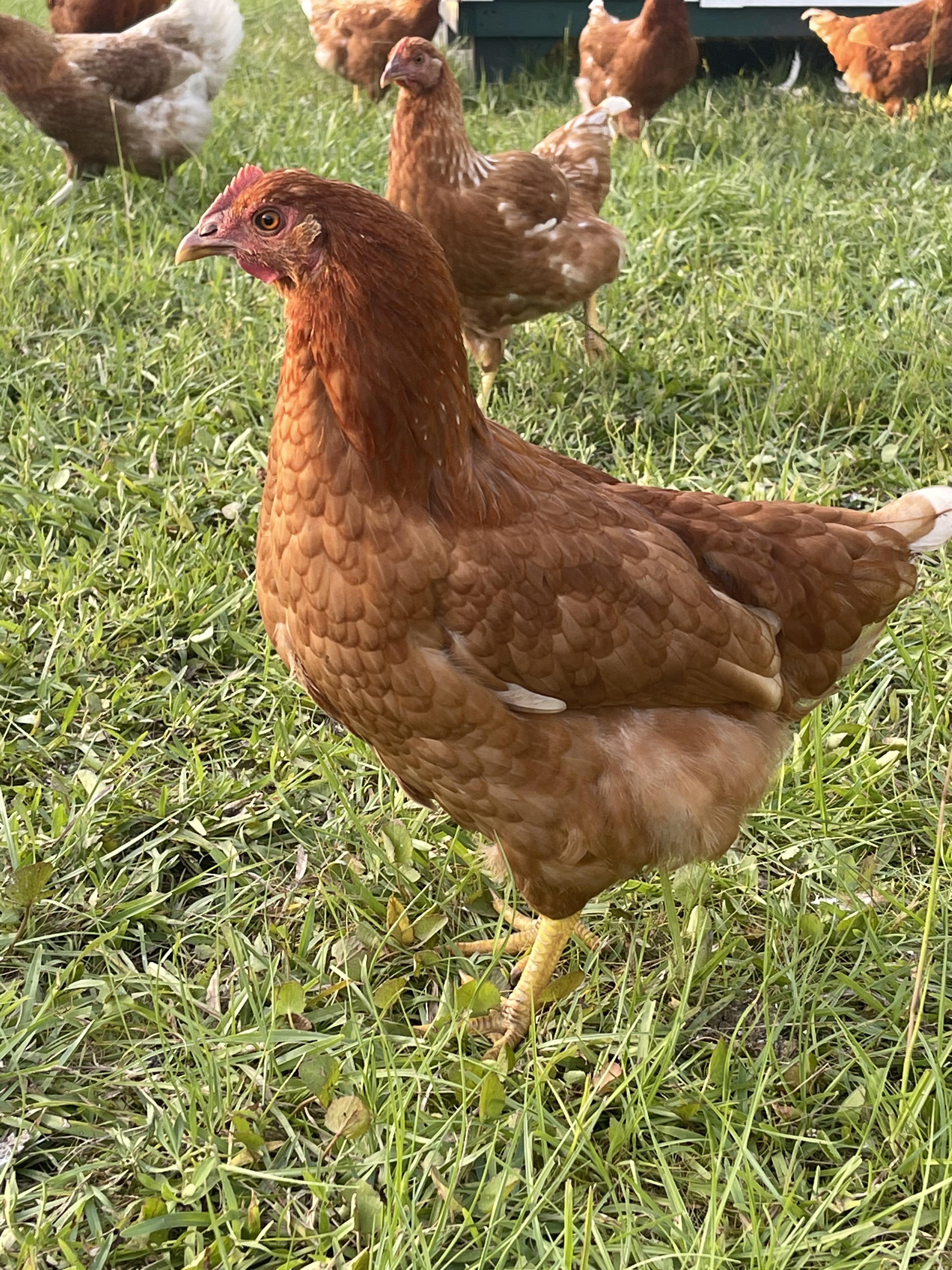 Beautiful layers | Scrolller