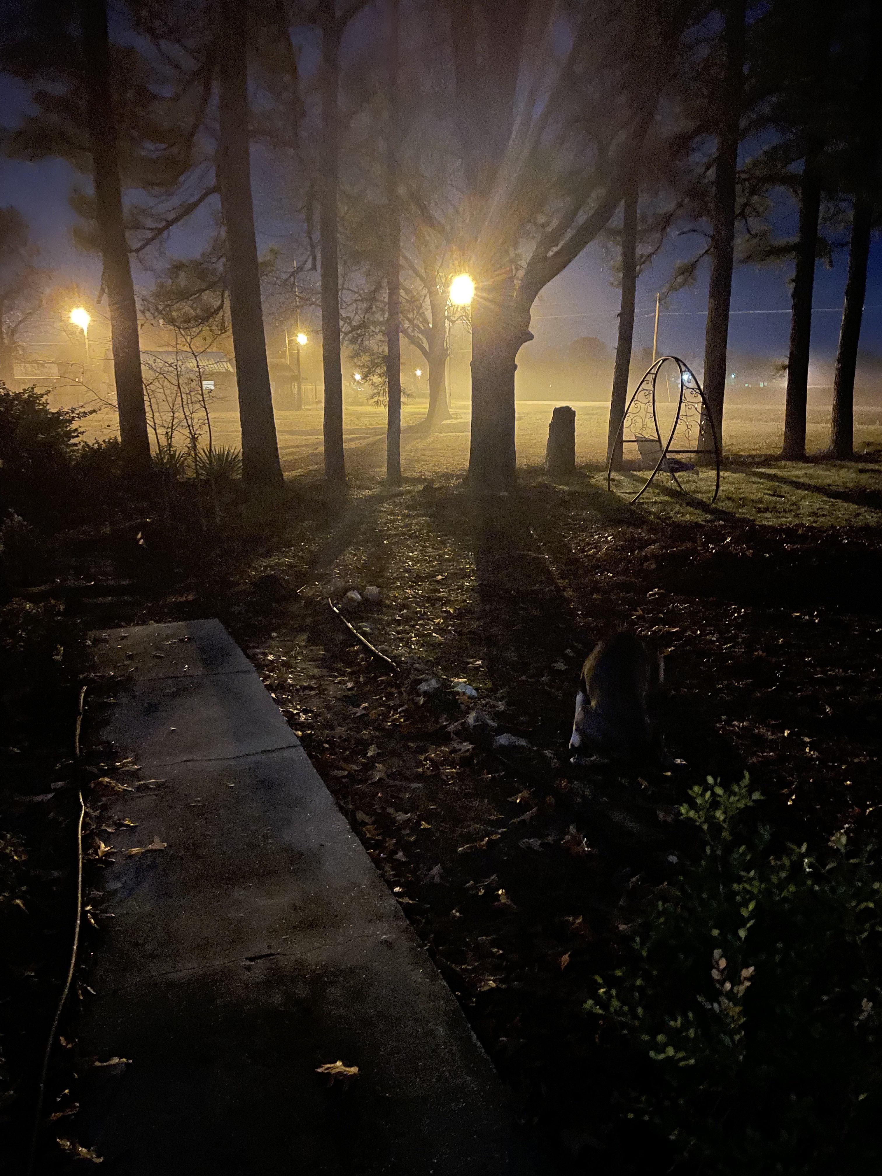 My front yard | Scrolller