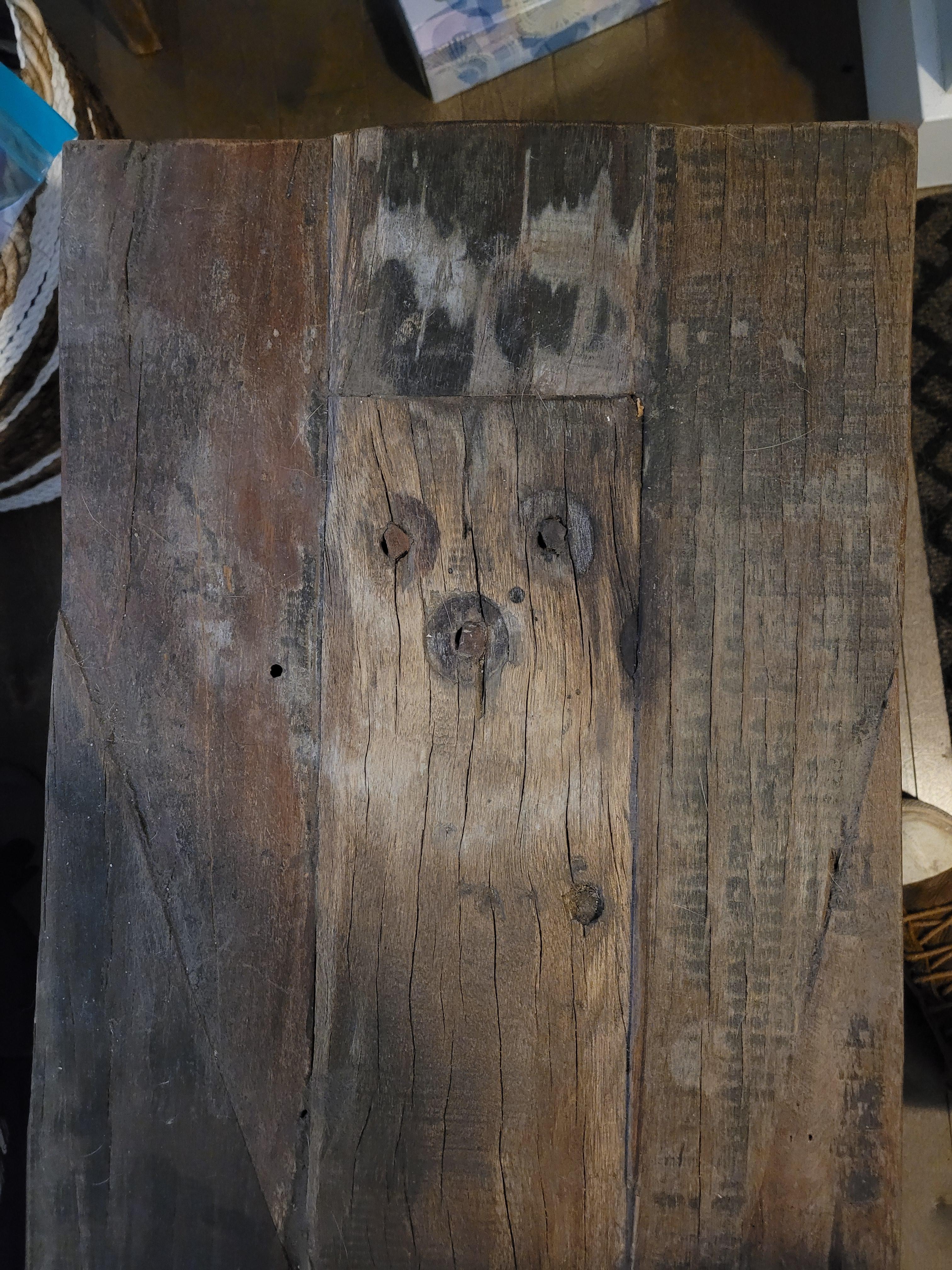 There's a bear face on my bench. | Scrolller