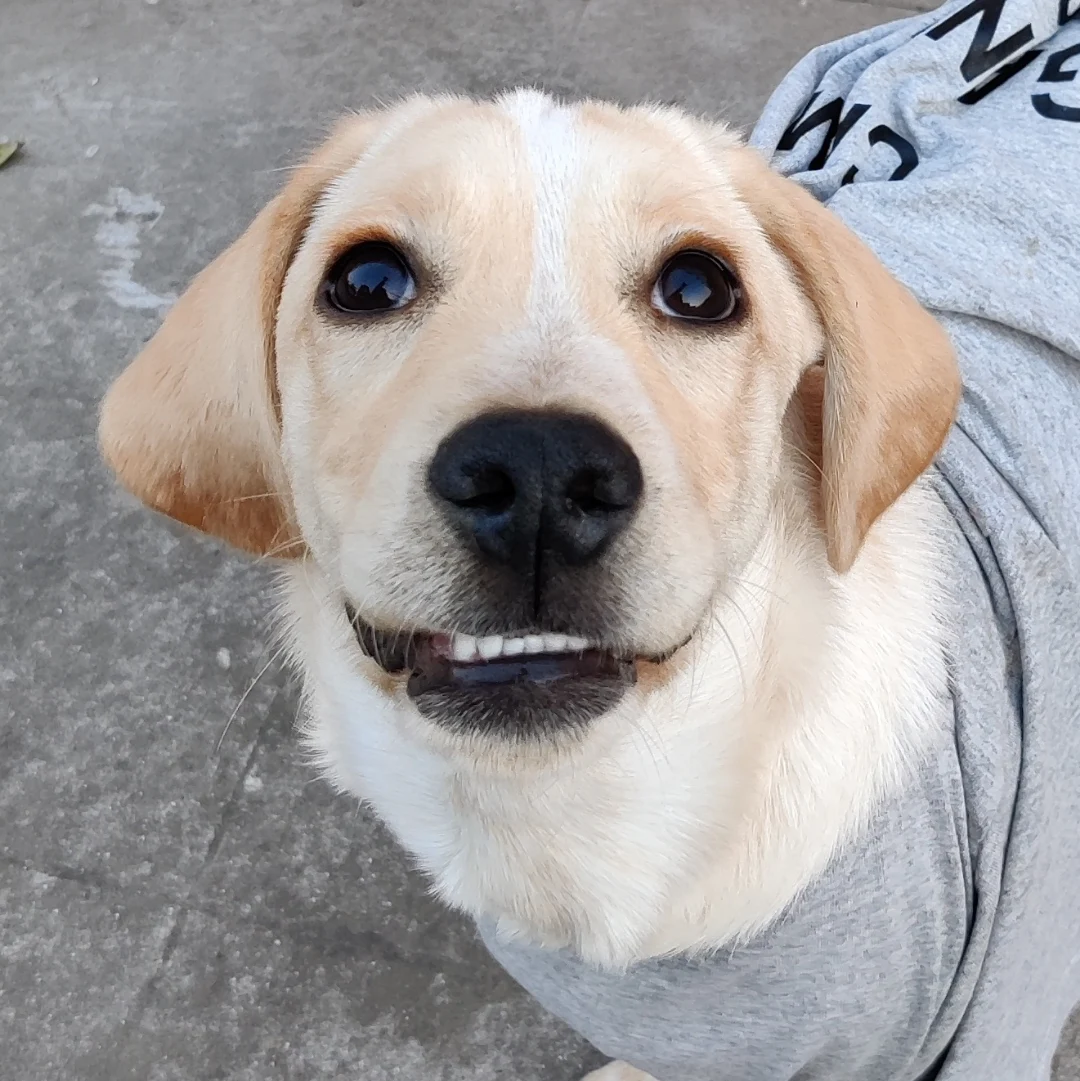 Say Cheese!!! | Scrolller