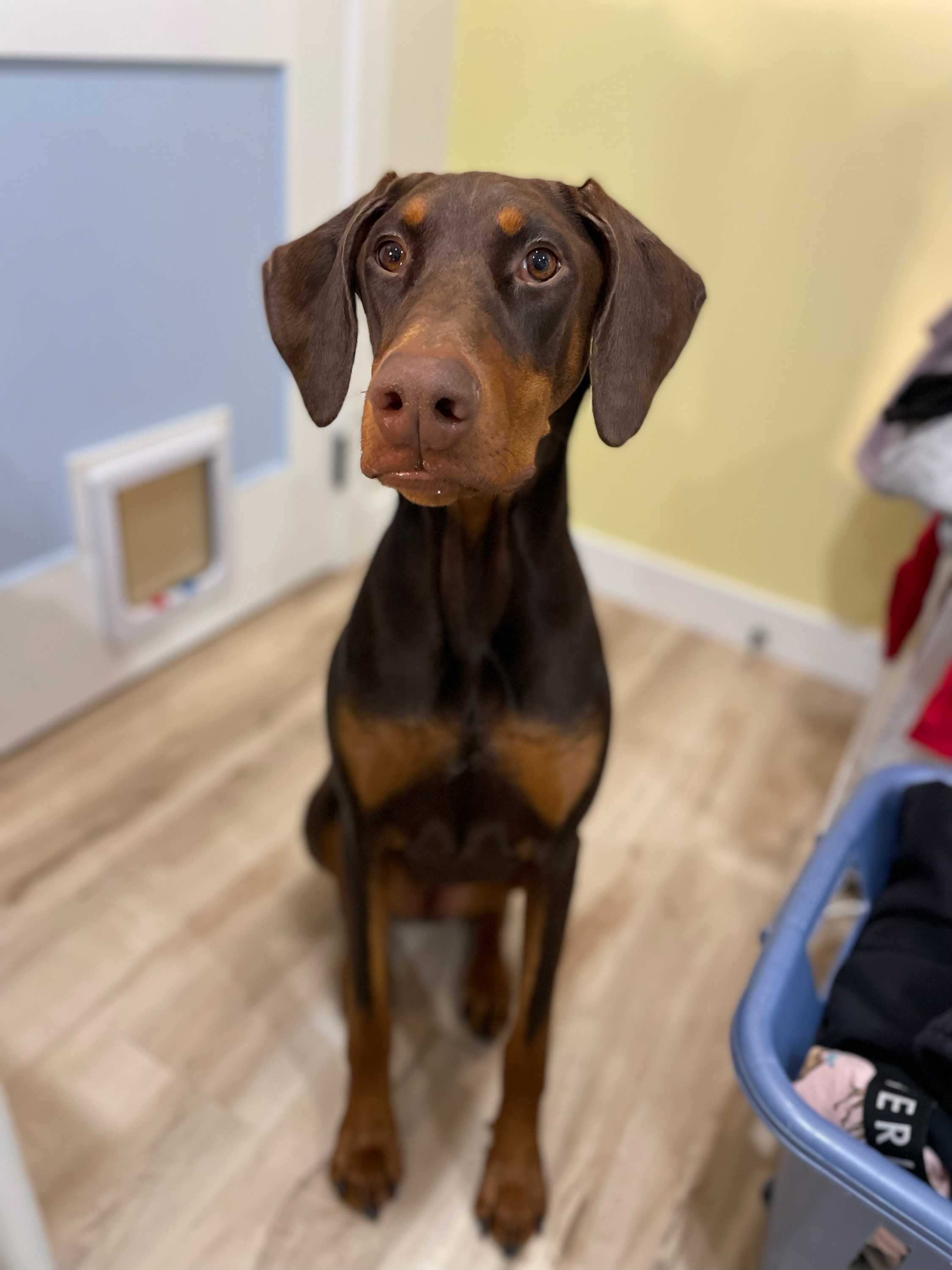 (OC) I'm lucky! | Scrolller