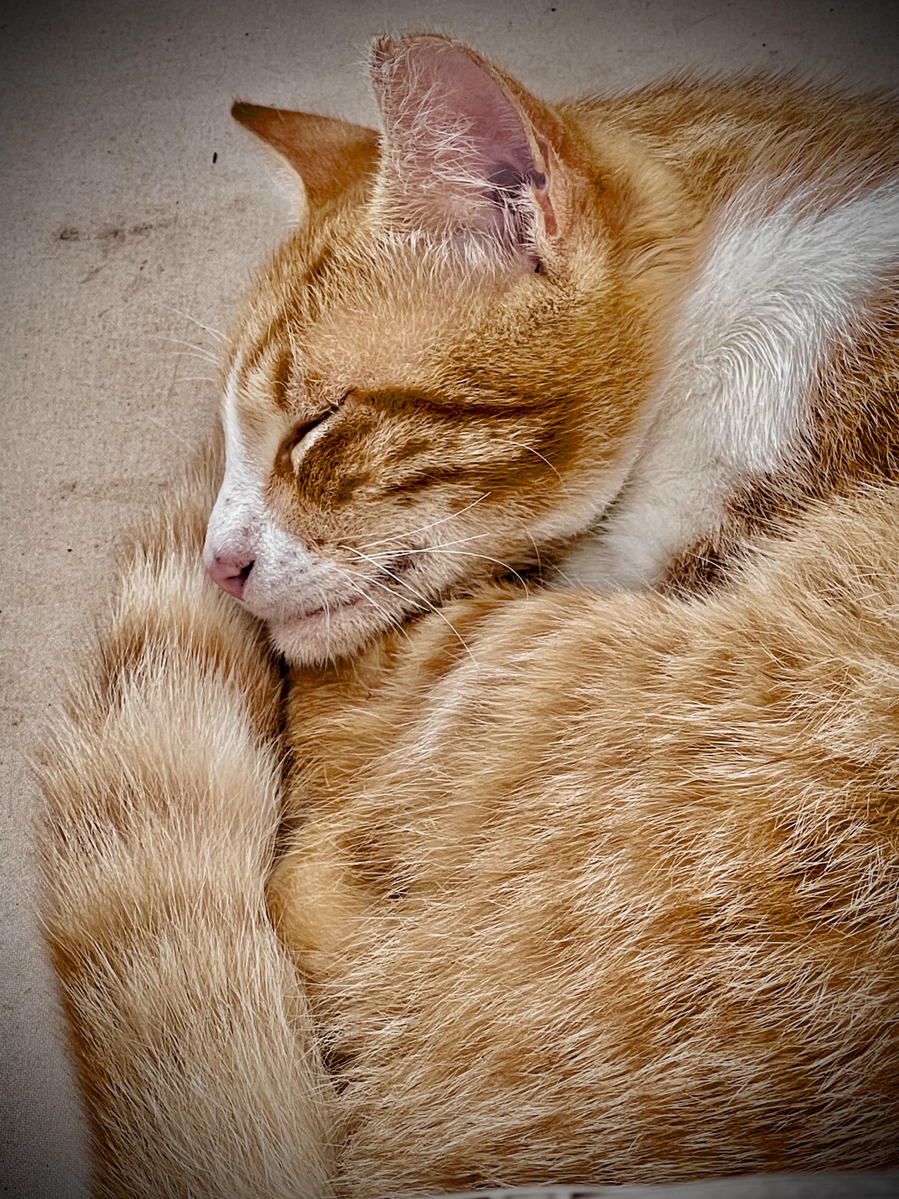 Chilling | Scrolller