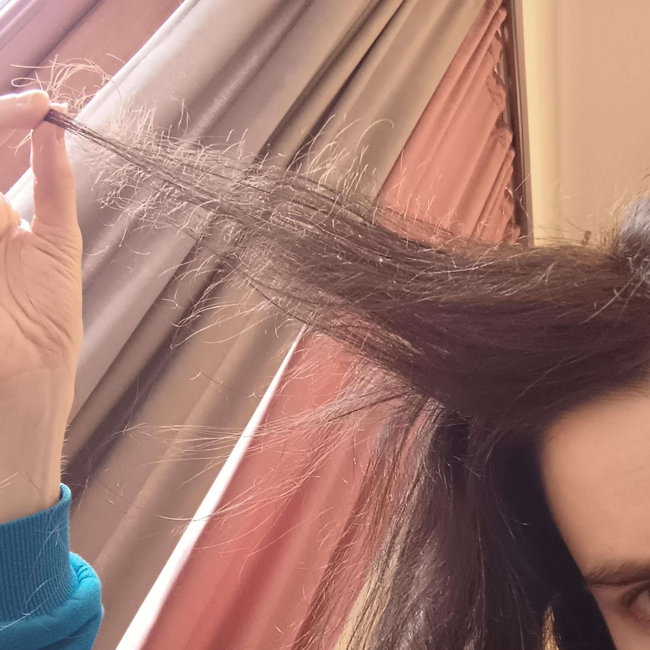 Split ends? | Scrolller