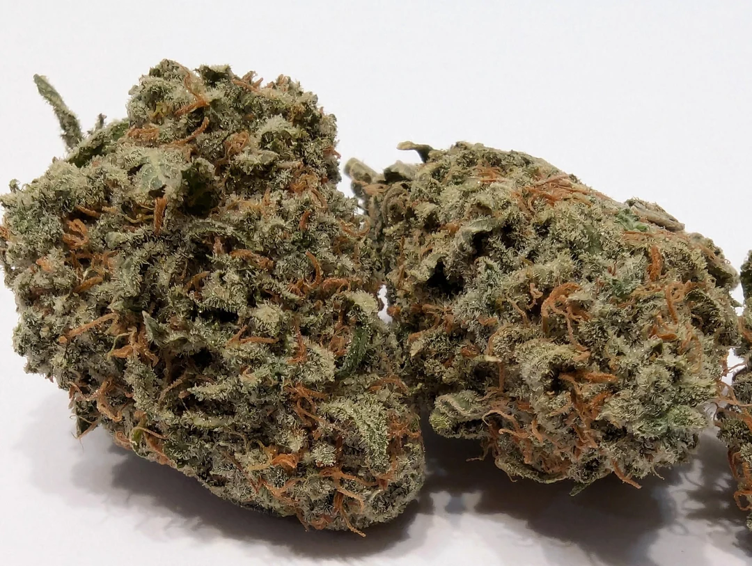 New batch Super Lemon Haze ️ (strong sativa & double Cannabis Cup winner) | Scrolller