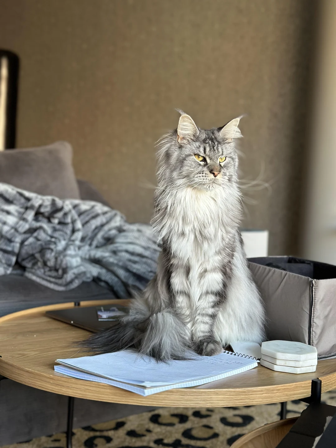 Dallas with her wet chin | Scrolller