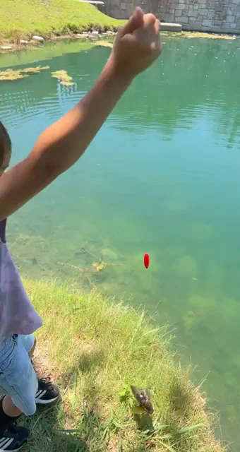 My youngest finally got into fishing with this catch. | Scrolller