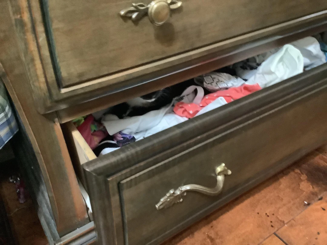 Unintentional drawer trap | Scrolller